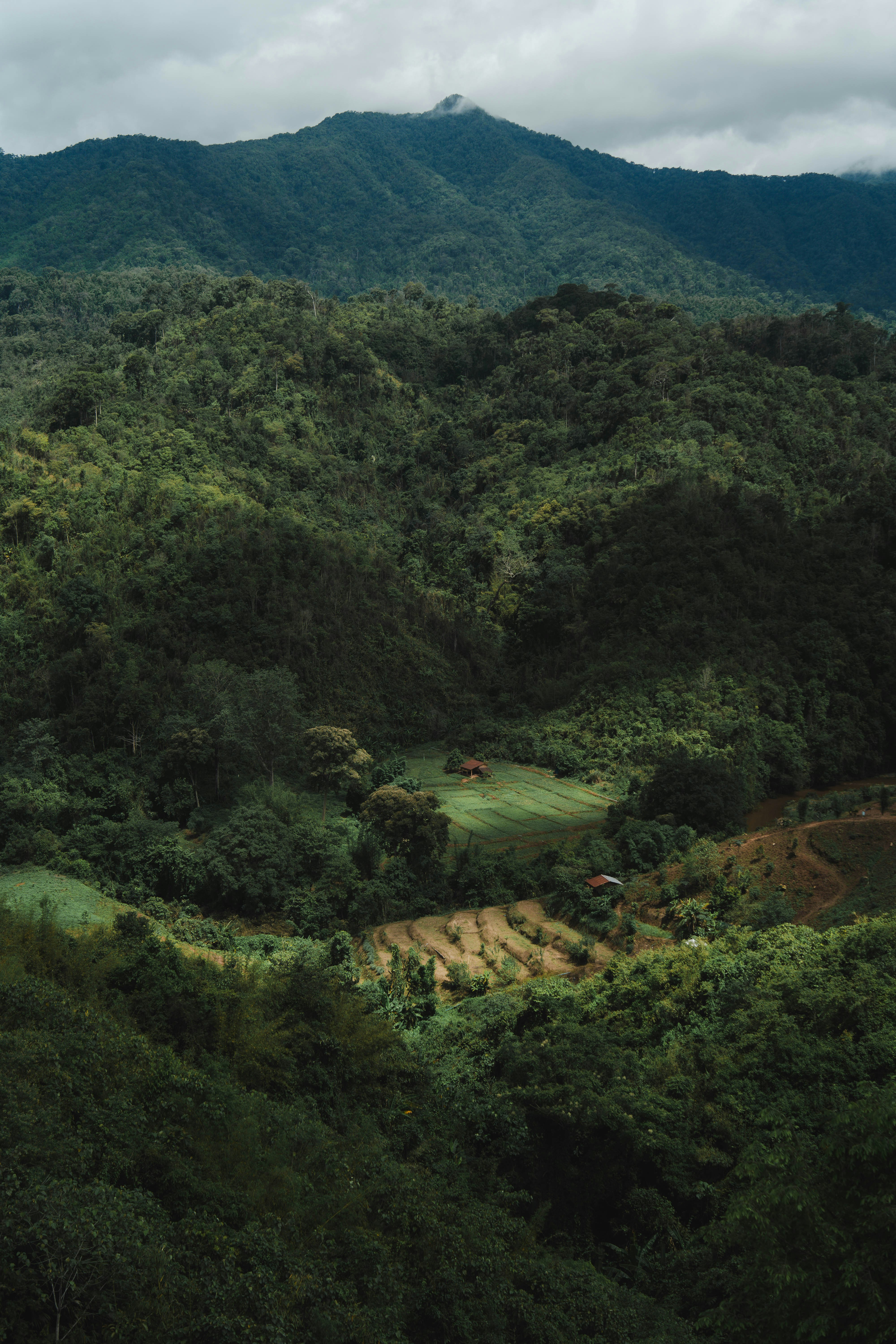 Terraced Greens Beneath a Cloudy Peak