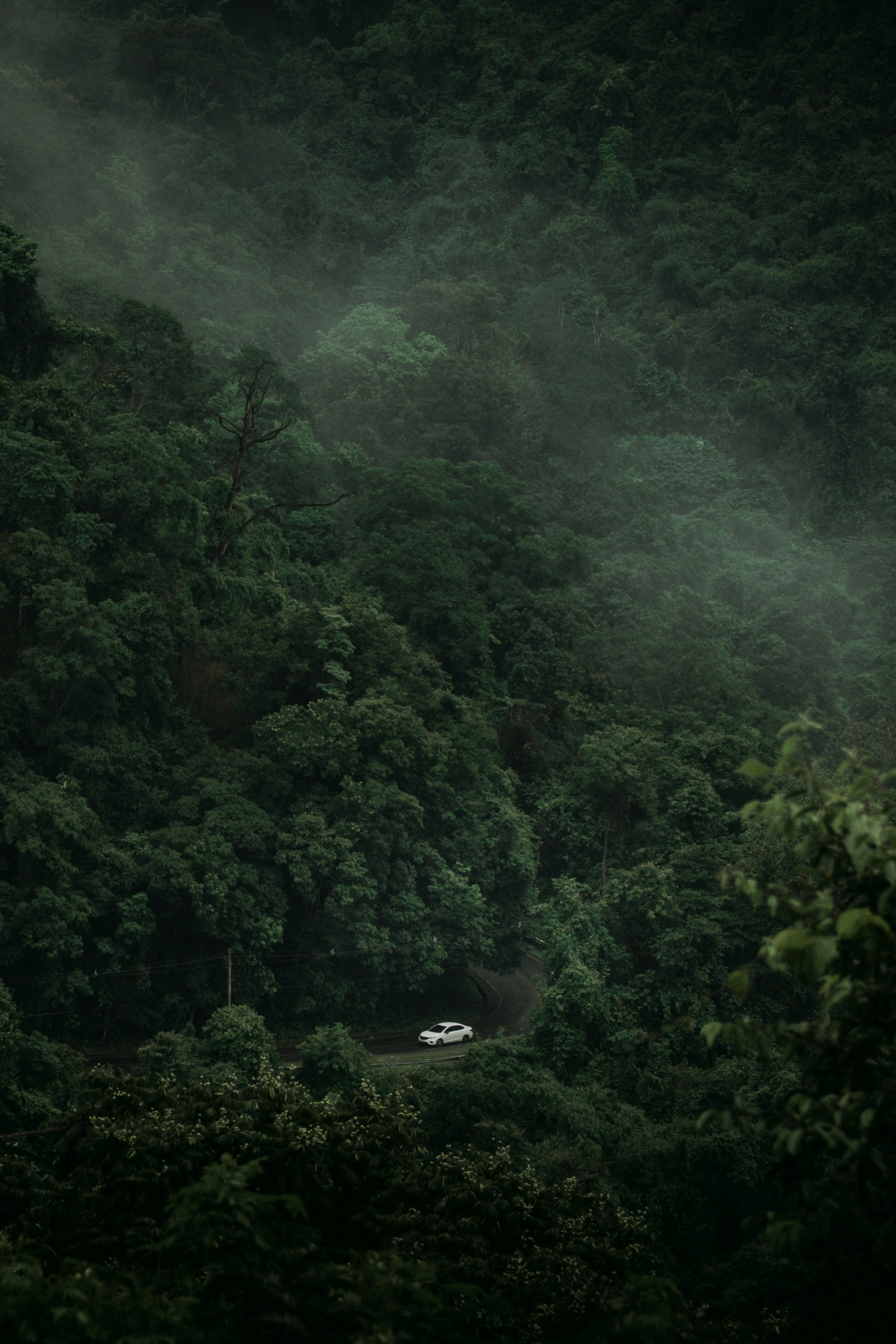 Mist-washed Serpentine Pass: A Cresting White Car in a Green Gorge