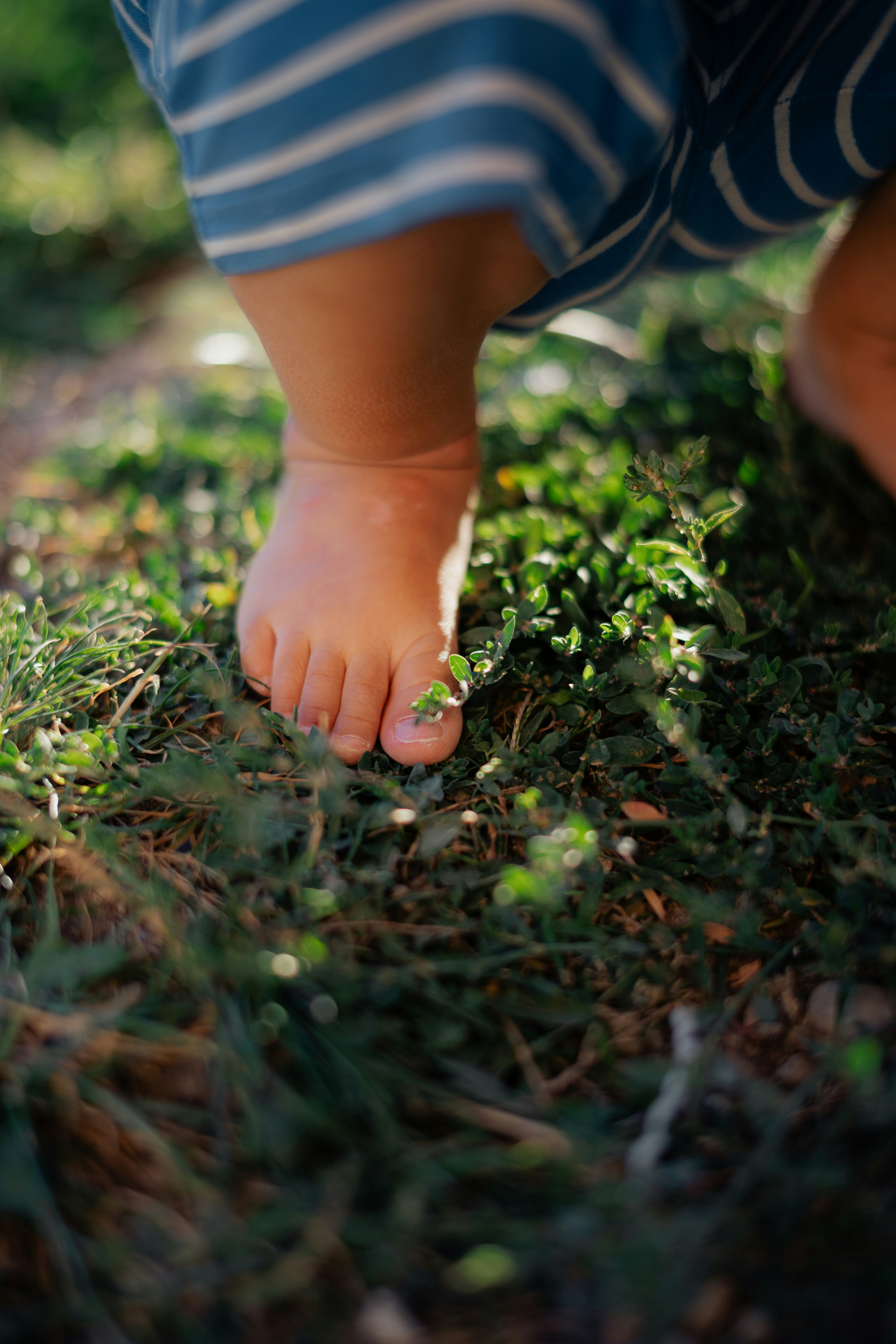 Tiny Footprint in Sunlit Grass
