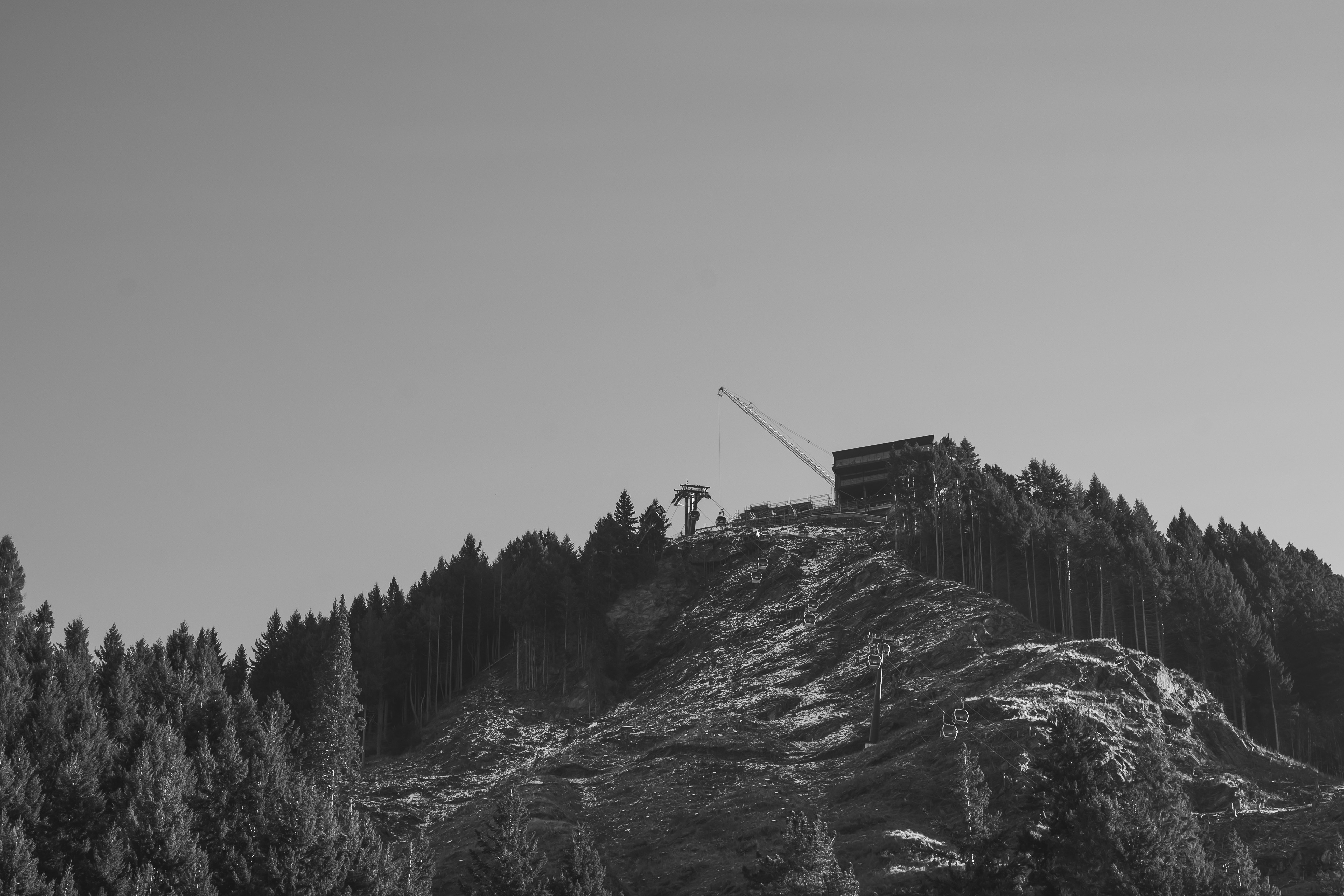 Crane at the Crest: A Mountain Top in Mono