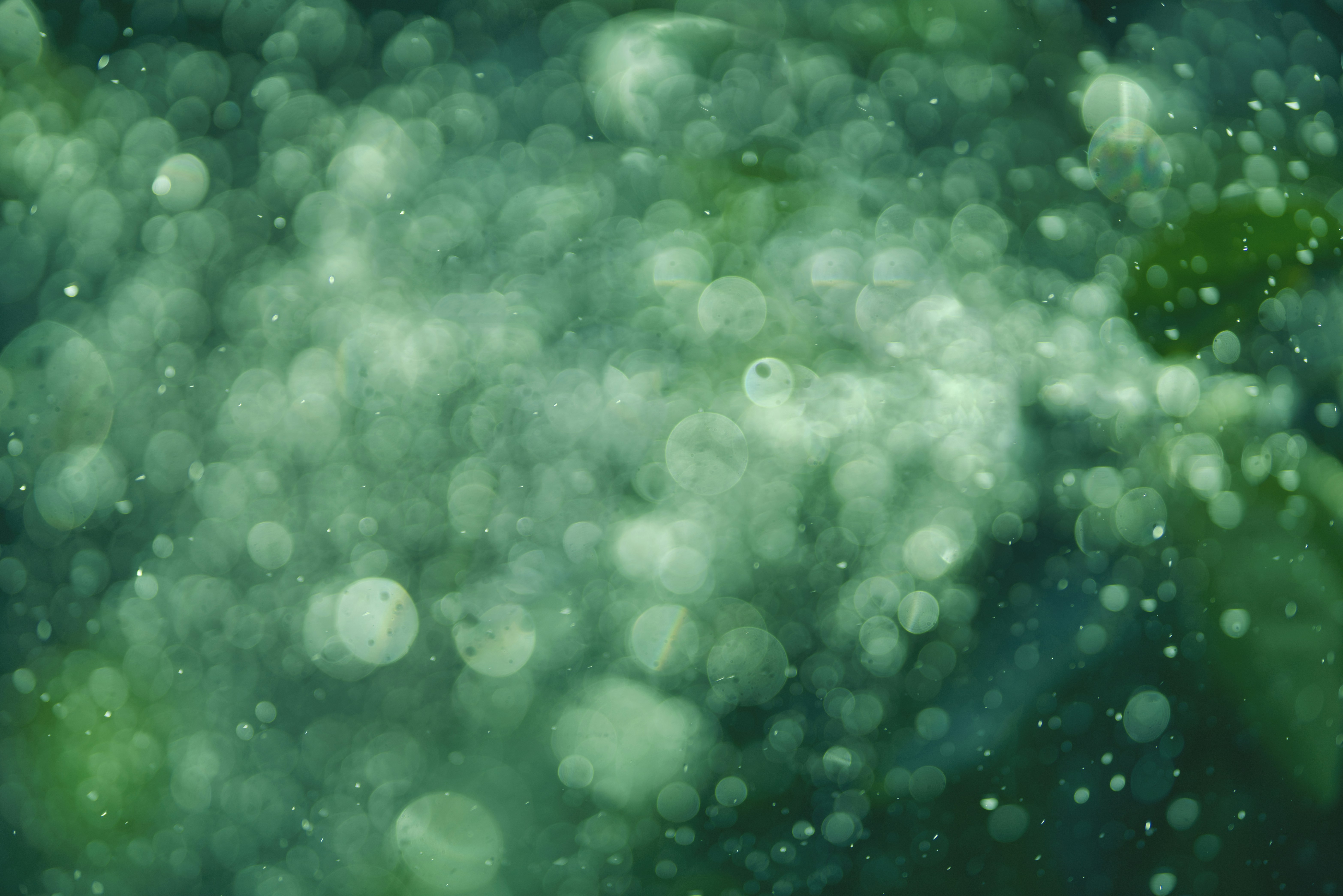 Soft Bokeh Bubbles in Green Light