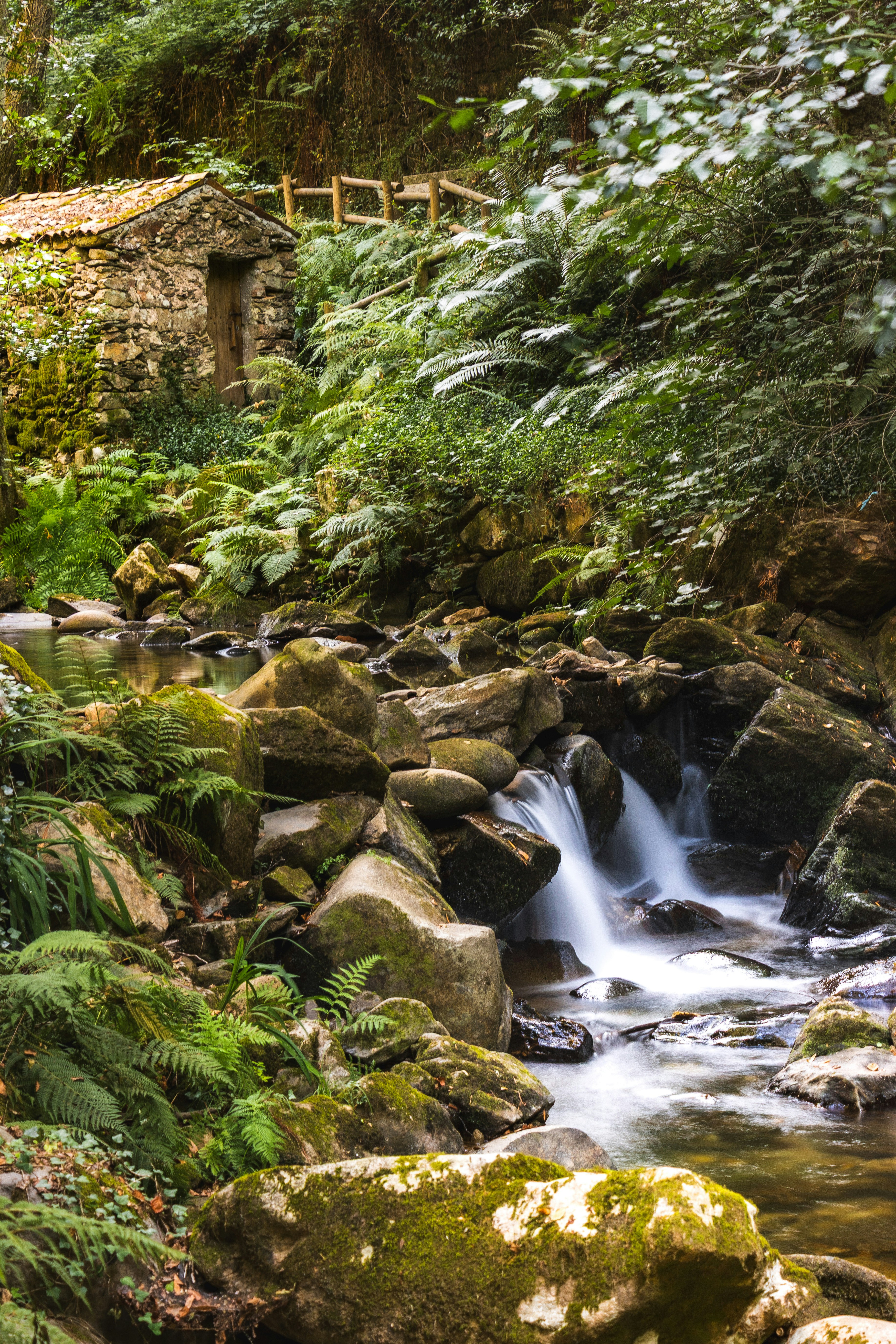 Waterfall Reverie: Mossy Stones and a Tranquil Brook