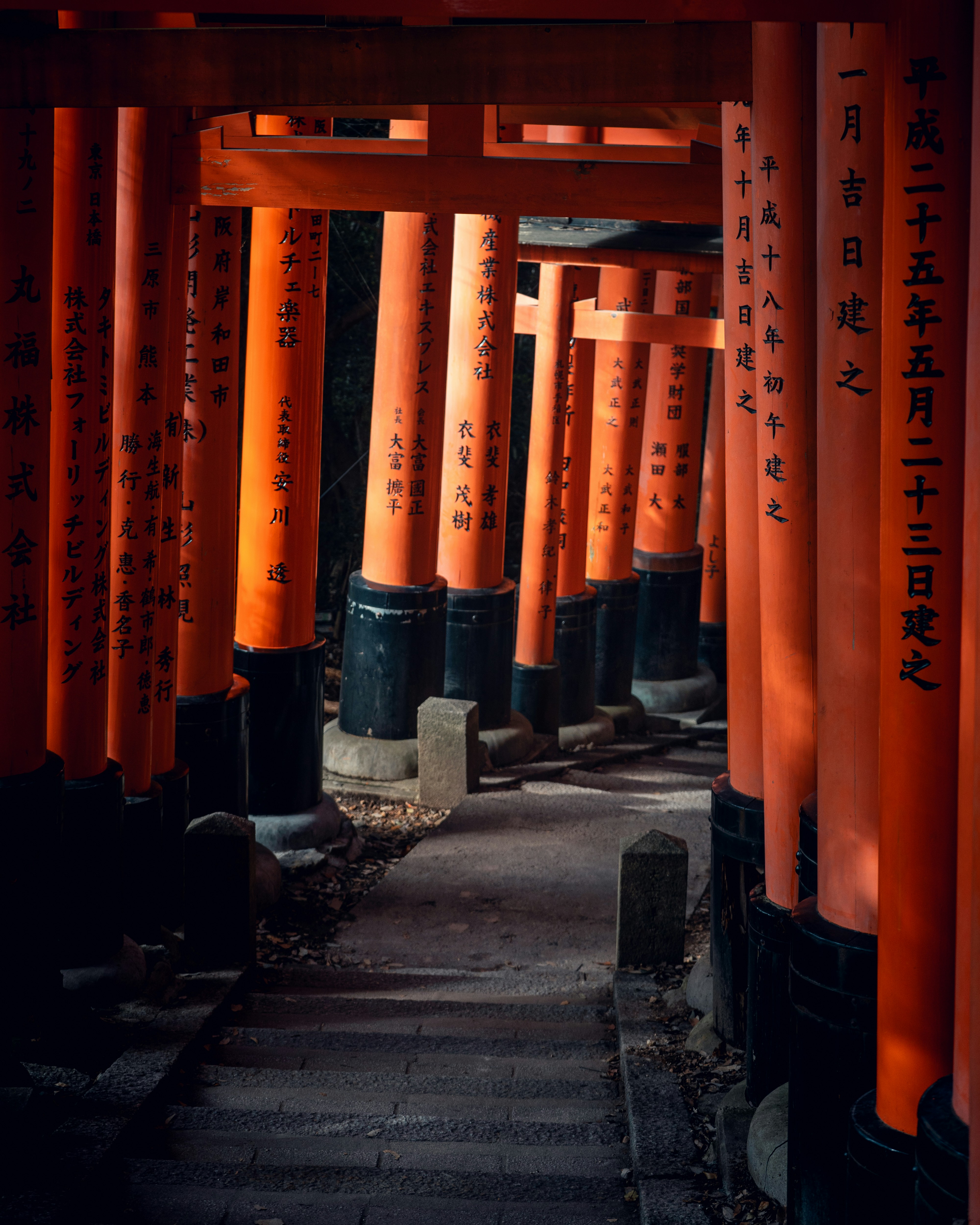 A Corridor of Torii: Orange Gates and Shadowed Path