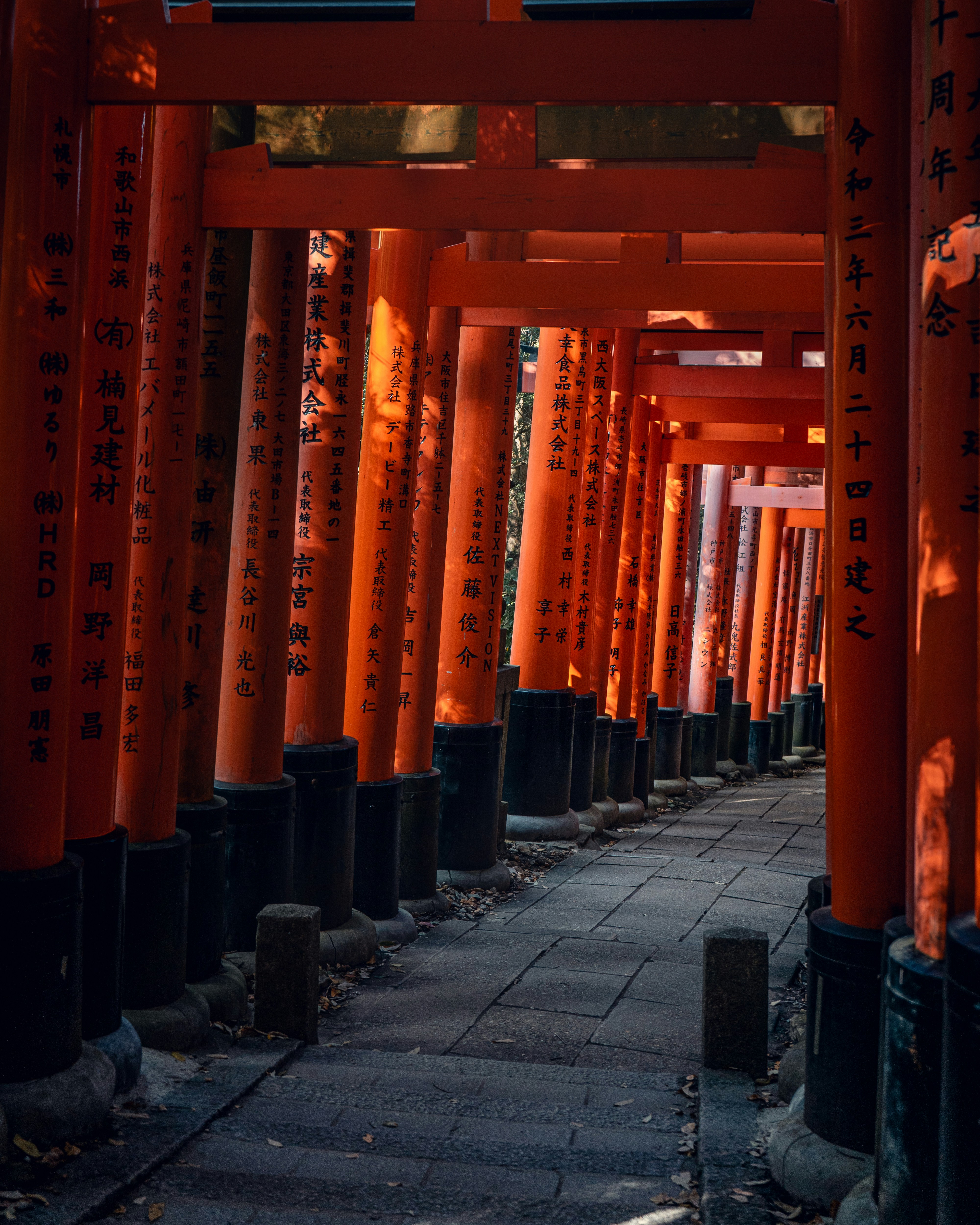 Crimson Corridor: A Tori Gate Gallery