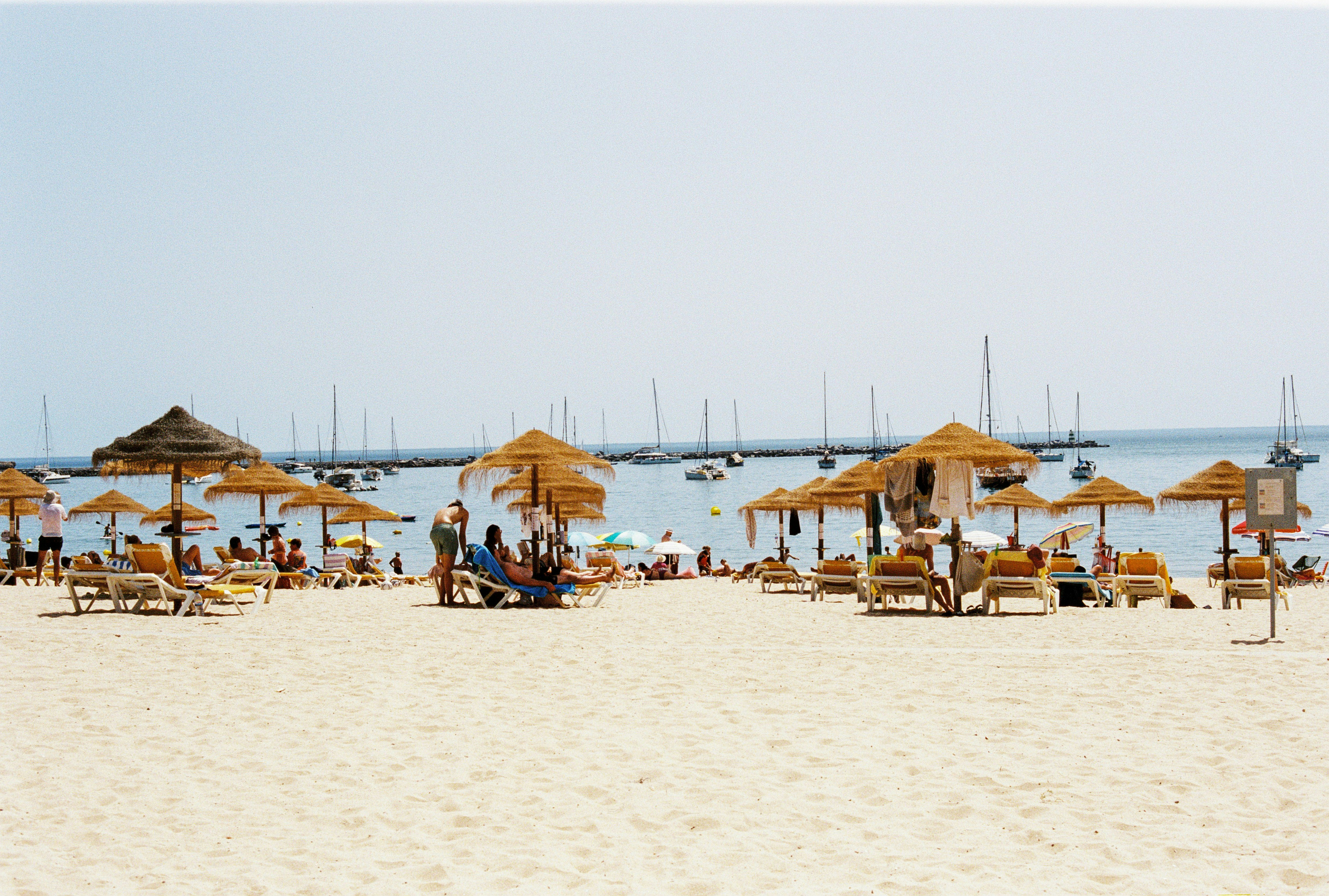 Sunlit Strand of Loungers: A Quiet Beach Day Under Straw Umbrellas