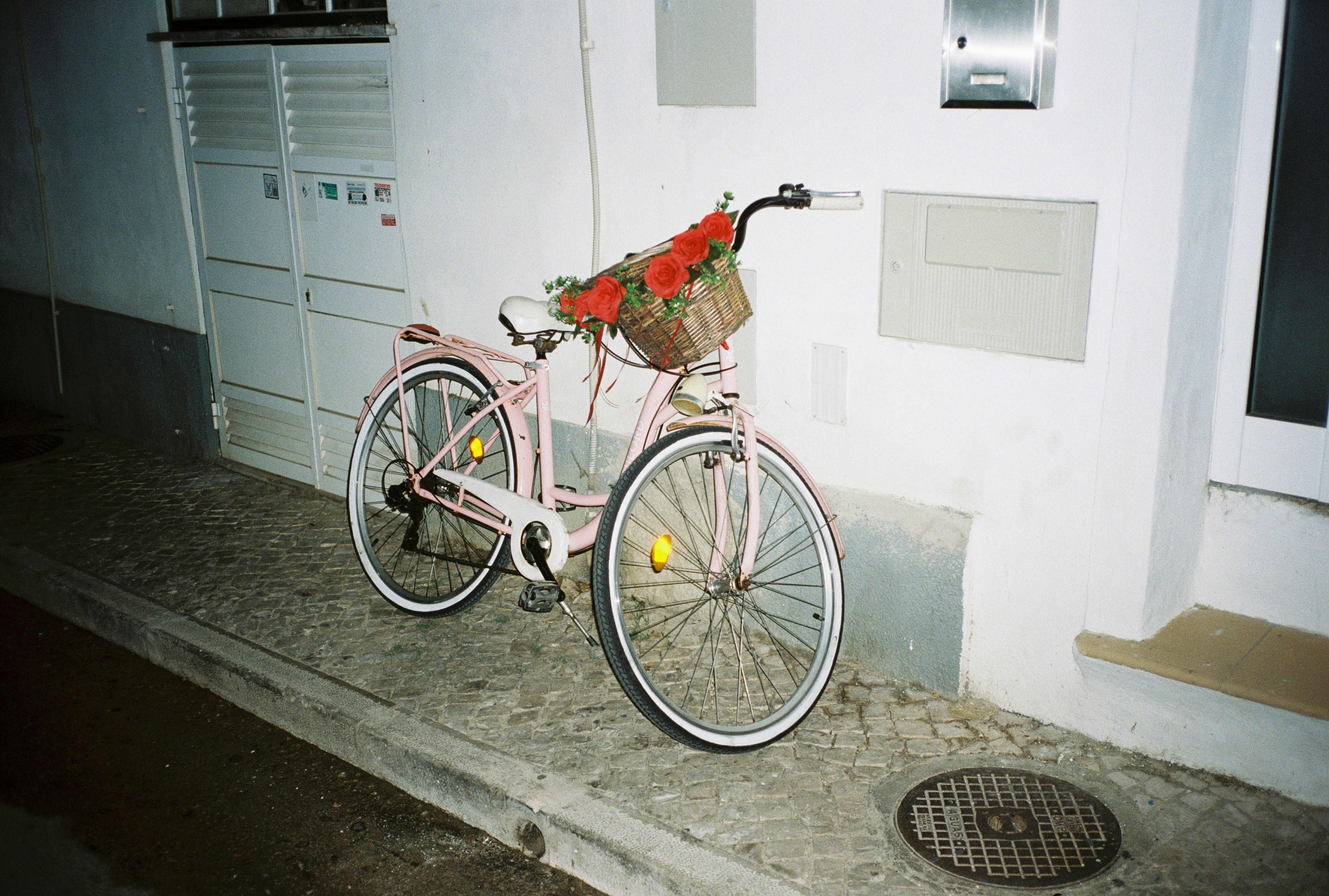 Pastel Ride: A Bicycle Gardened with Red Accents by the Wall