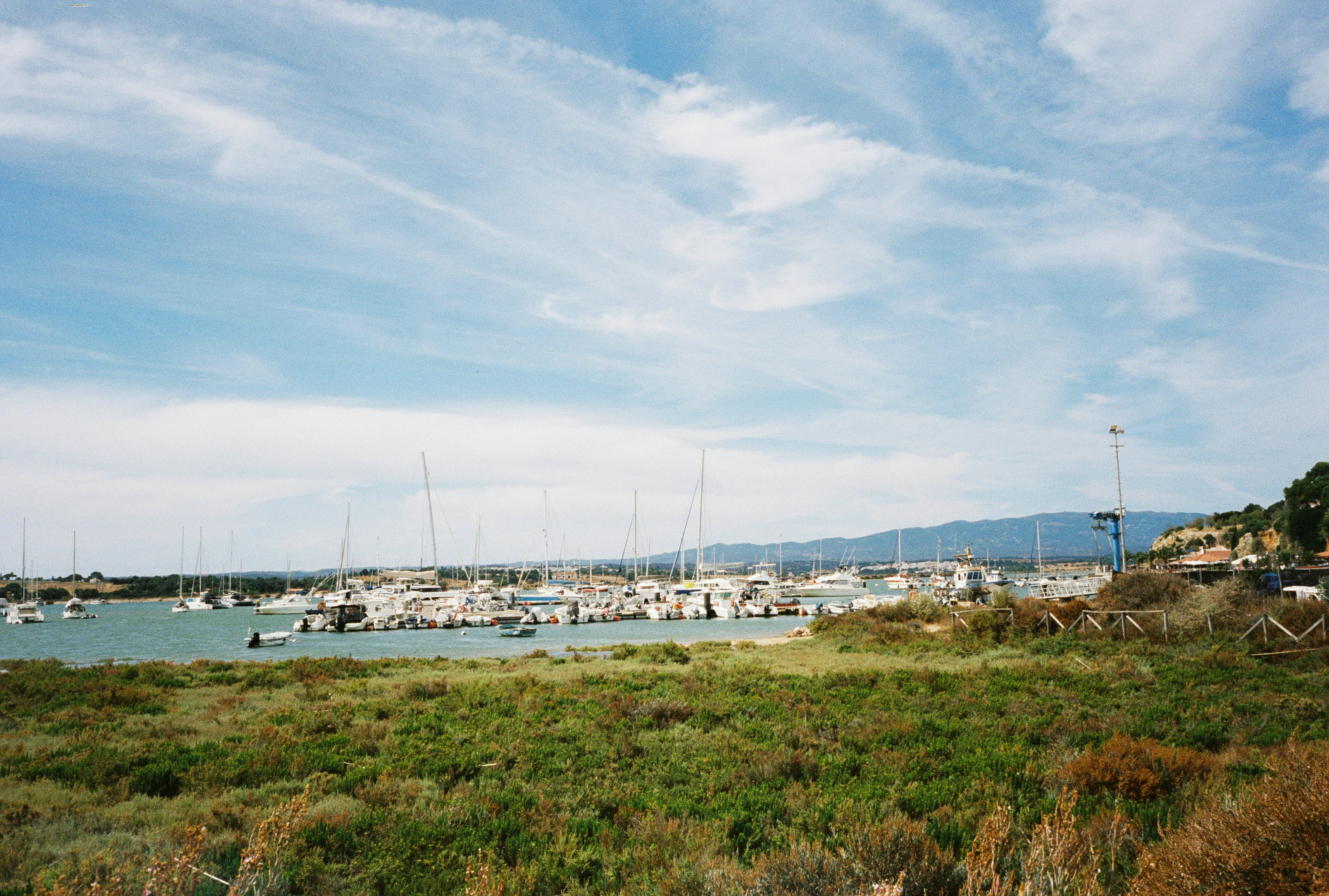 Harbor Vista: Boats Lined by a Quiet Coastal Meadow