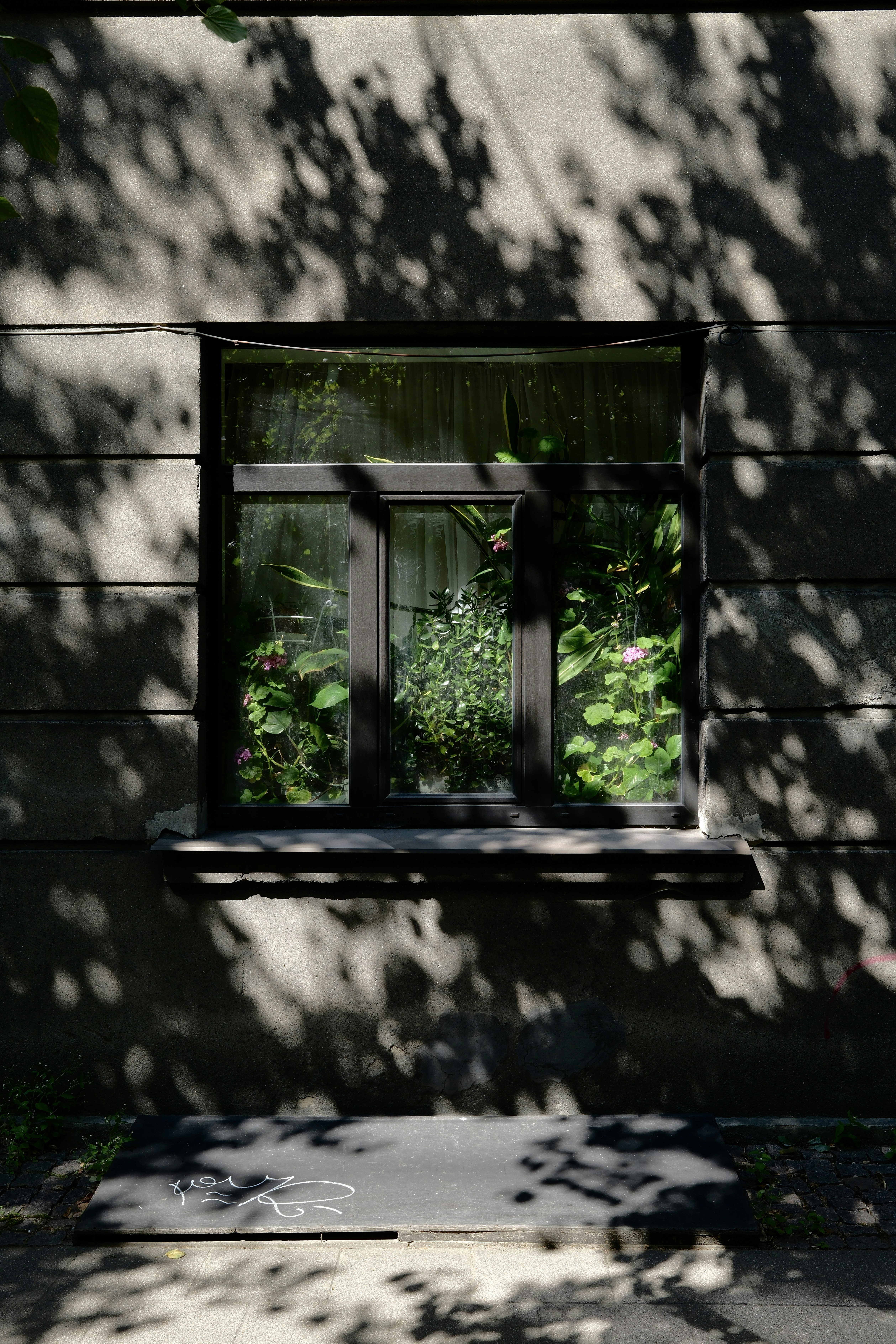 Hidden Garden Window: Light and Shadow on a Shaded Wall
