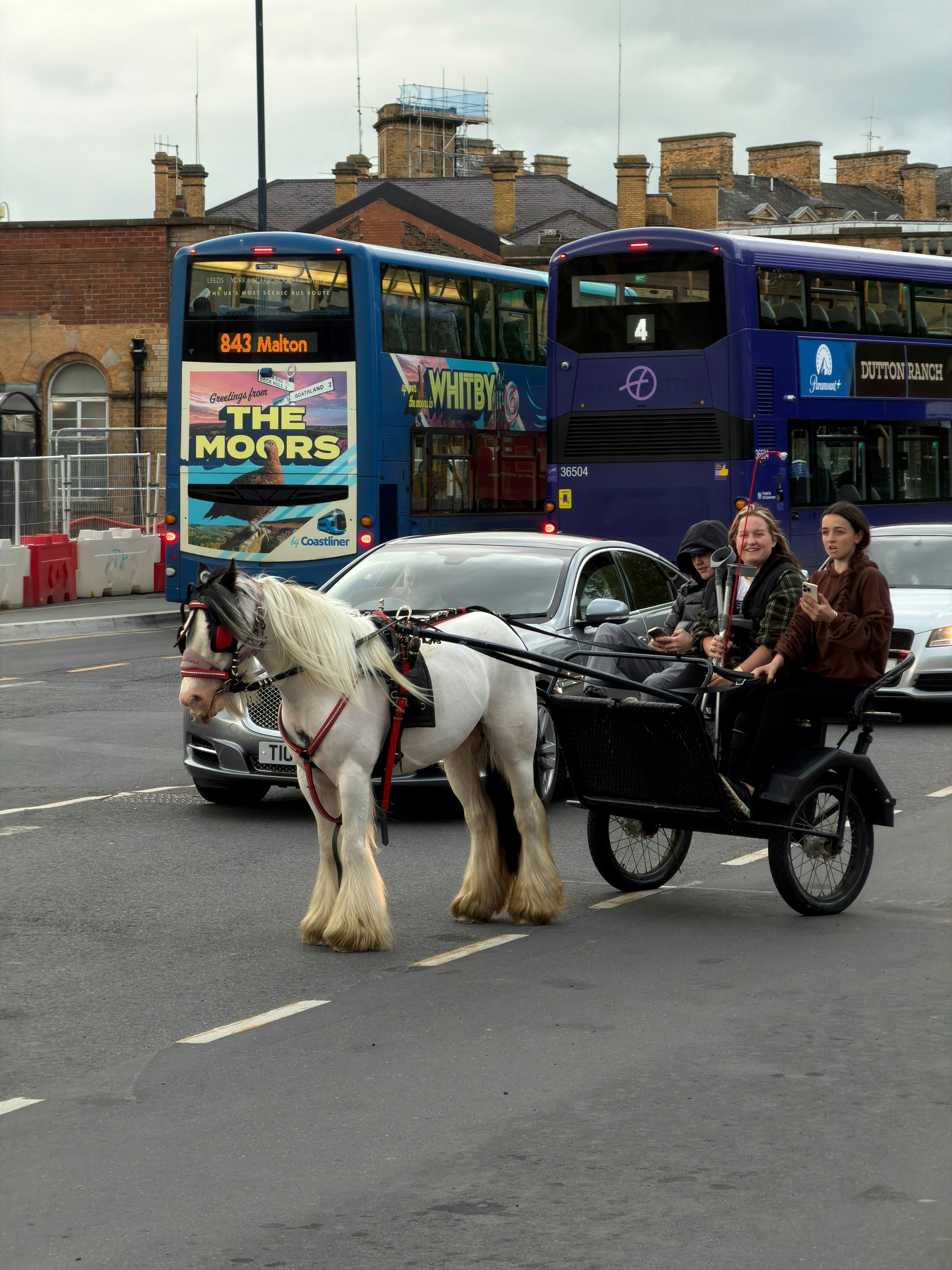 Horse-drawn carriage amid city buses at a bus station