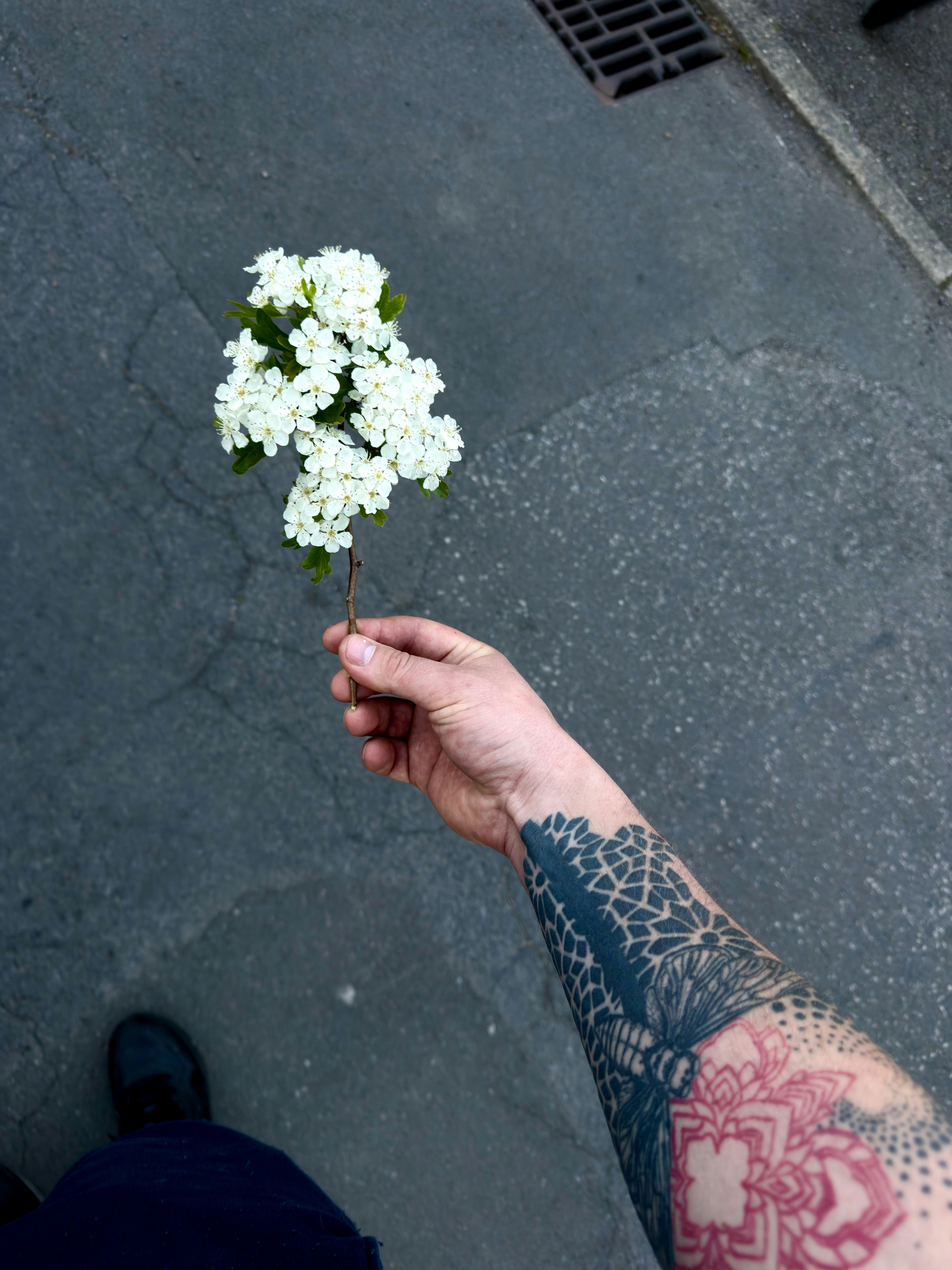 White blossoms held aloft against a gritty urban backdrop