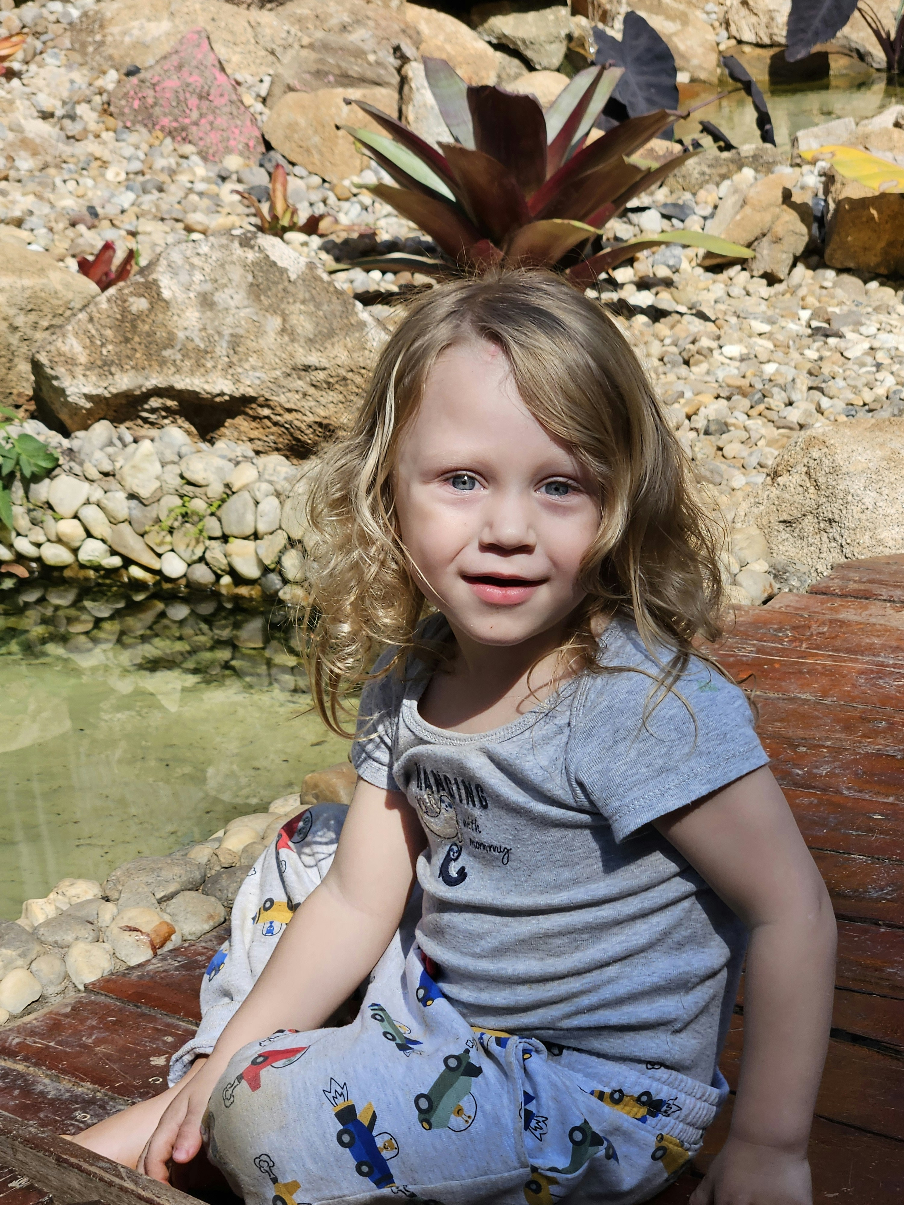 Sunlit Portrait on a Rock Garden