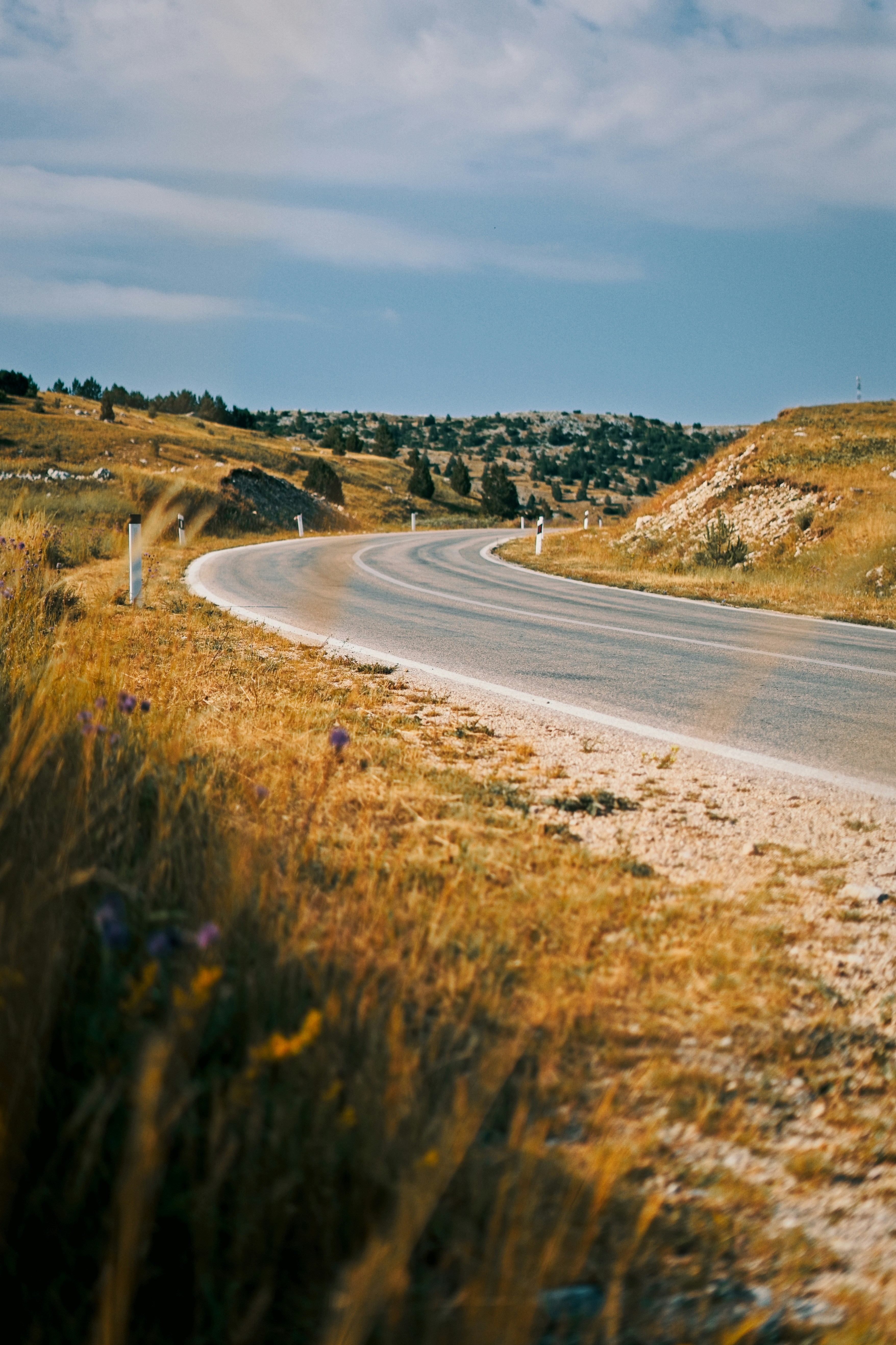 Winding Road Through Golden Hills