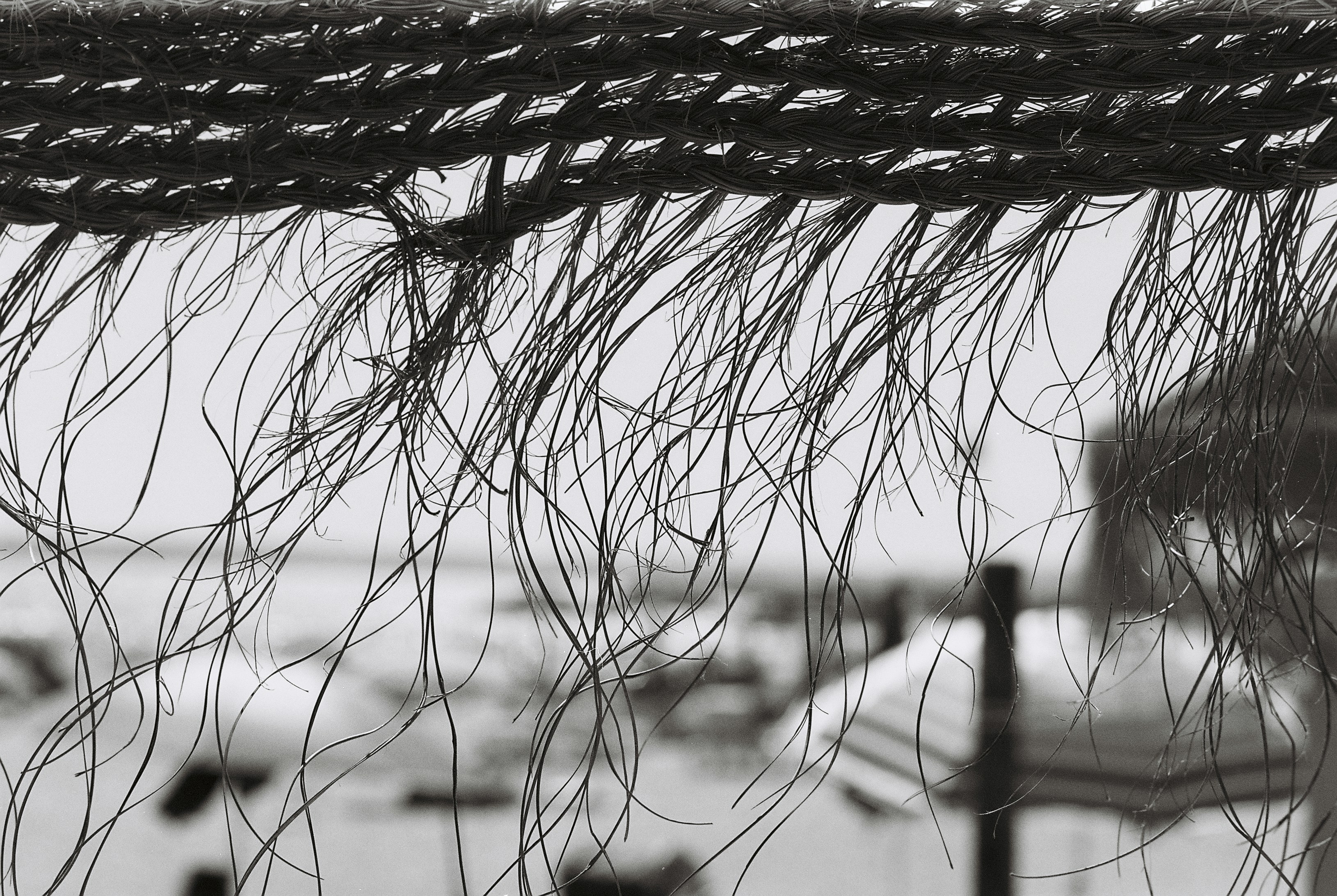 Threads ofshore: Beach nets in focus beyond a tangle