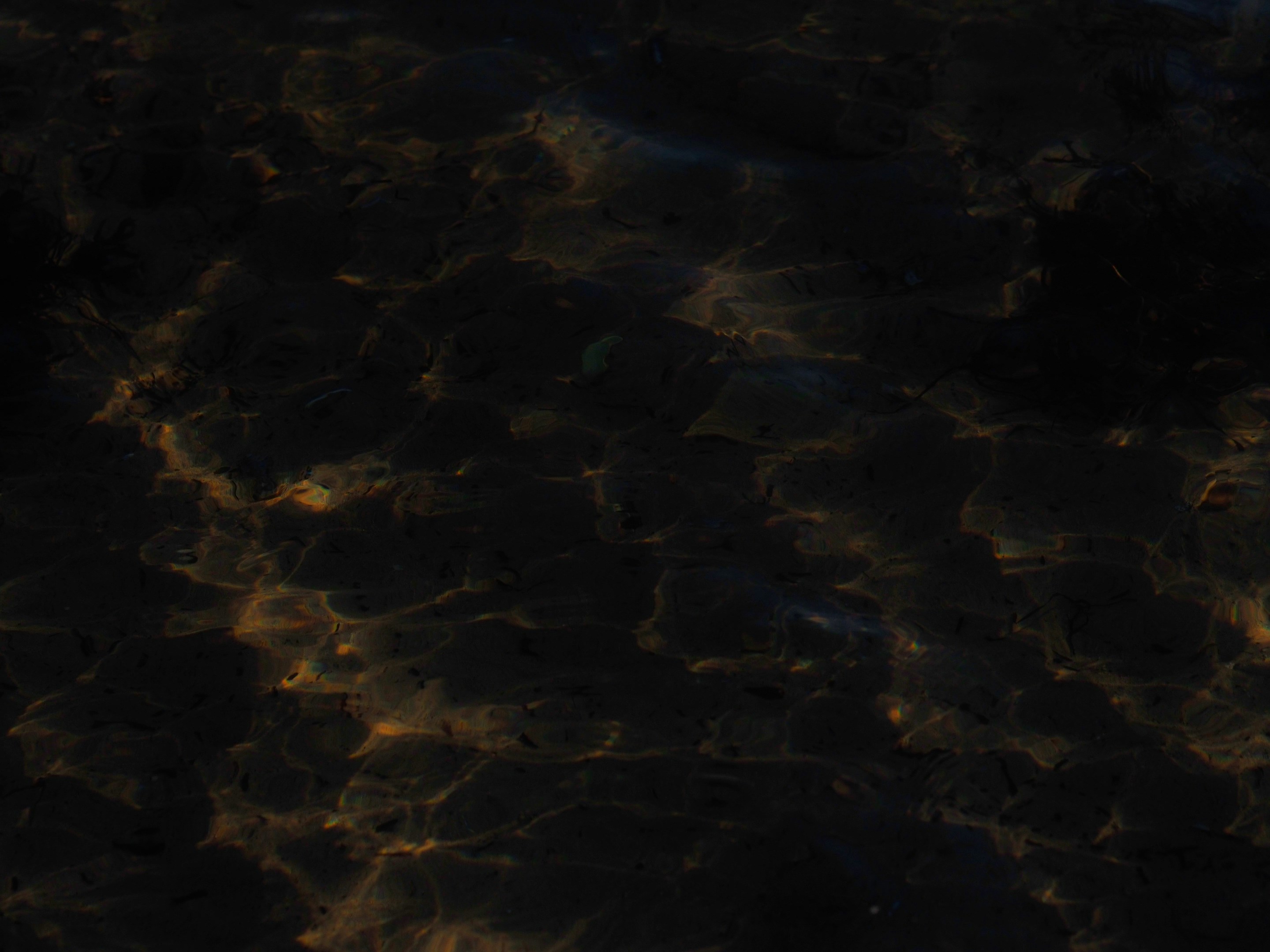 Sunlit Ripples: Submerged Echoes in Dim Water