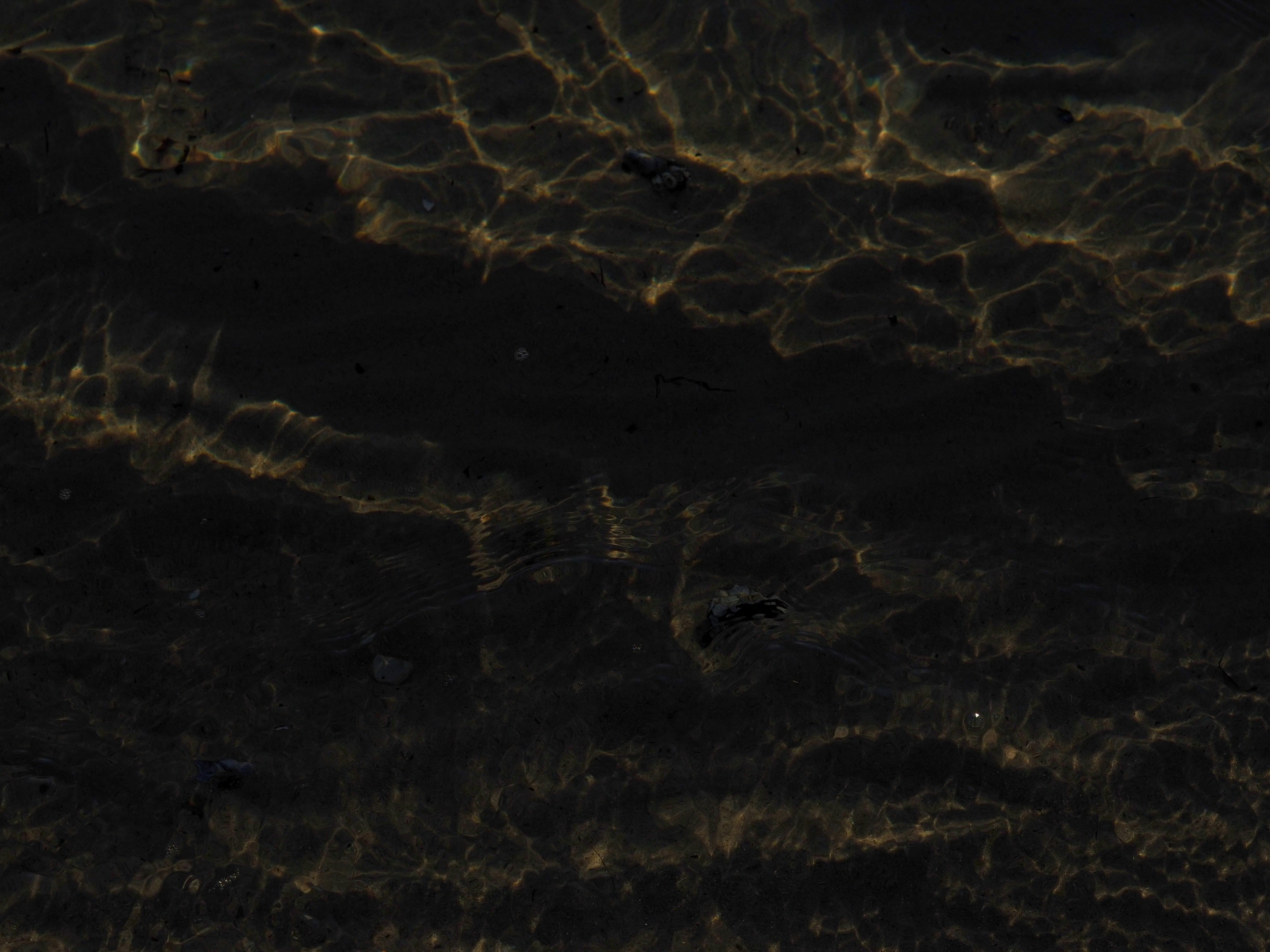 Echoes of Tide: Subtle Ripples on a Shadowed Shore