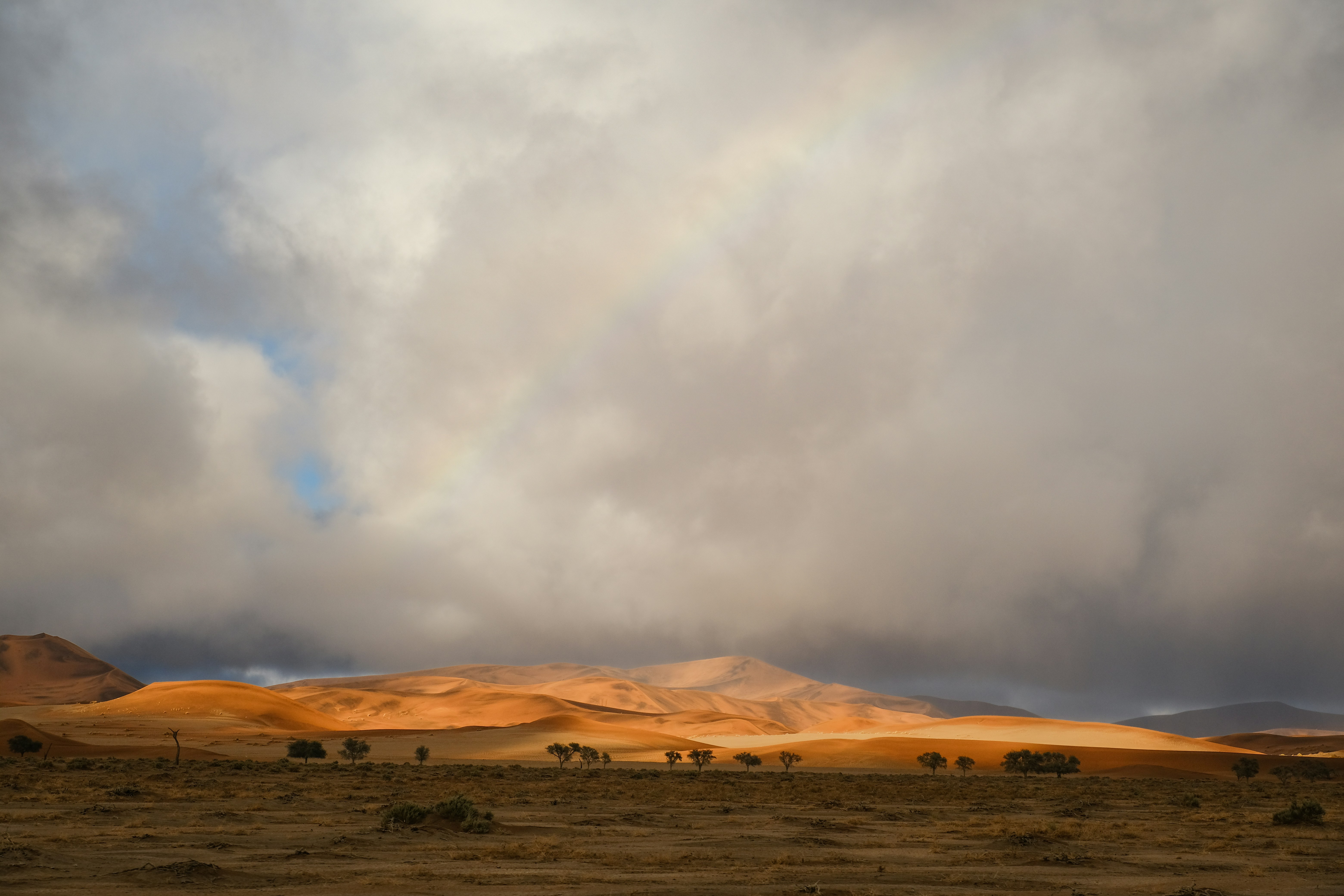 Golden Dunes Under a Sky of Drama