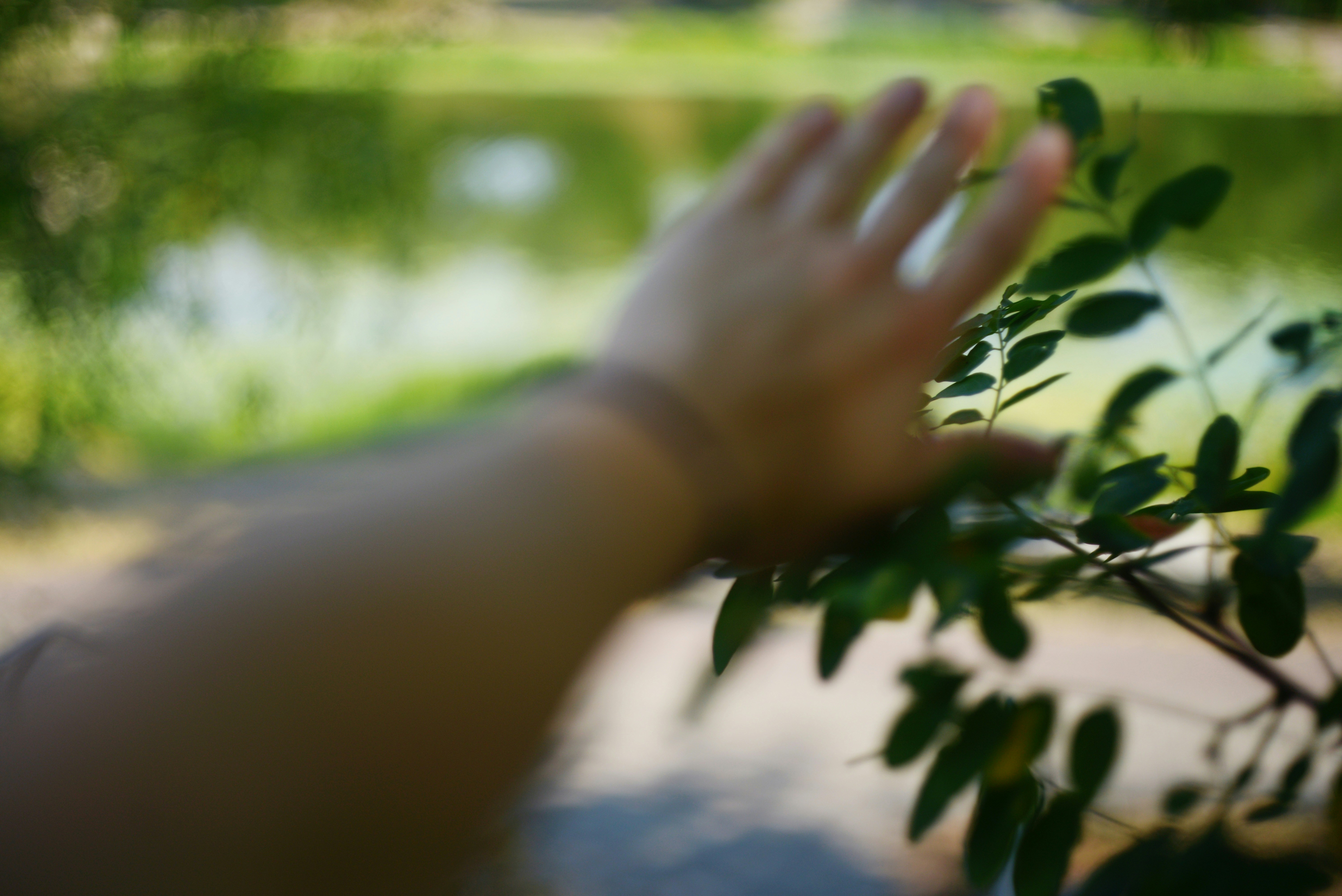 Outstretched Hand in a Quiet Riverside Moment