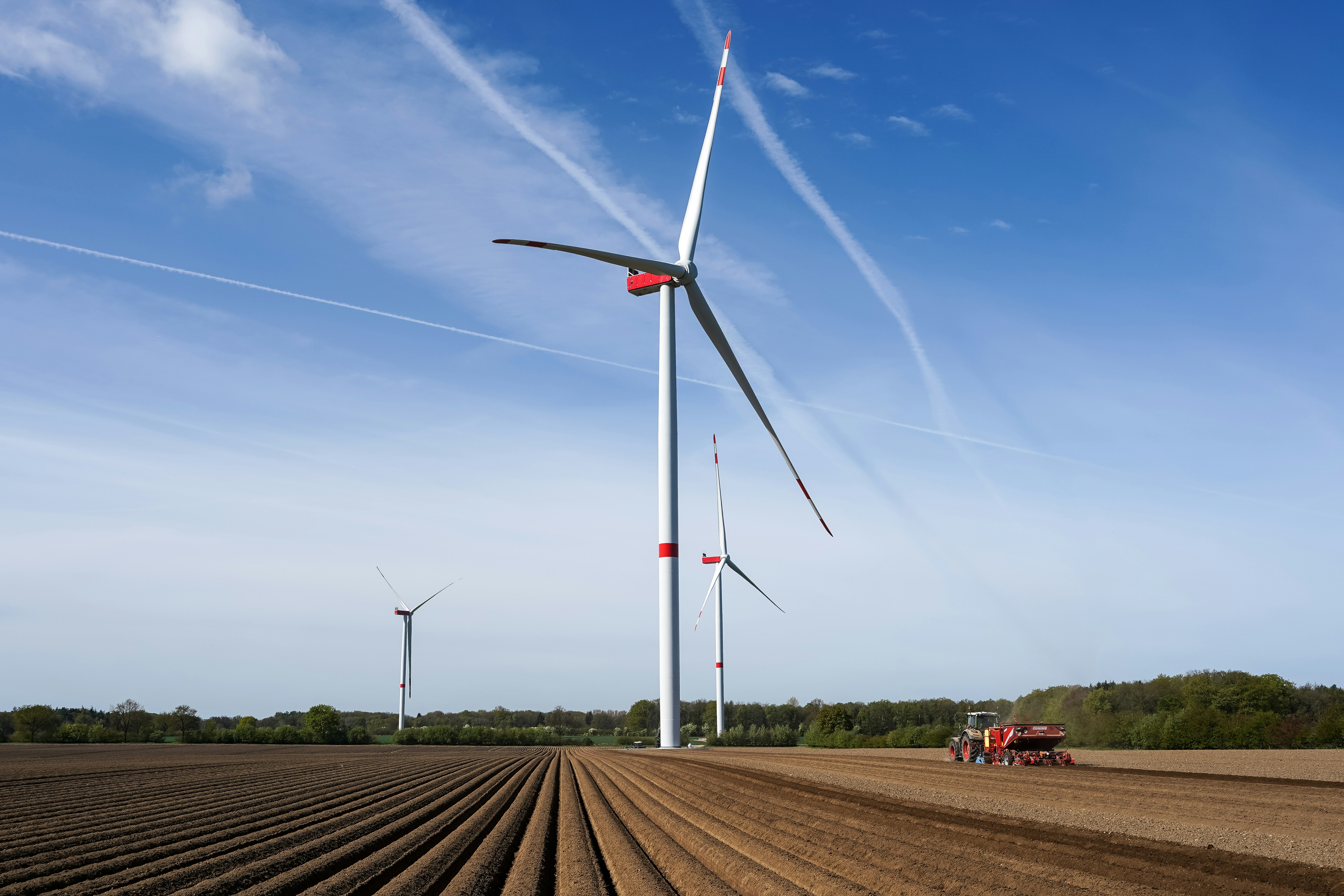 Harvesting Wind: A Field of Giants and a Red-Tipped Crane