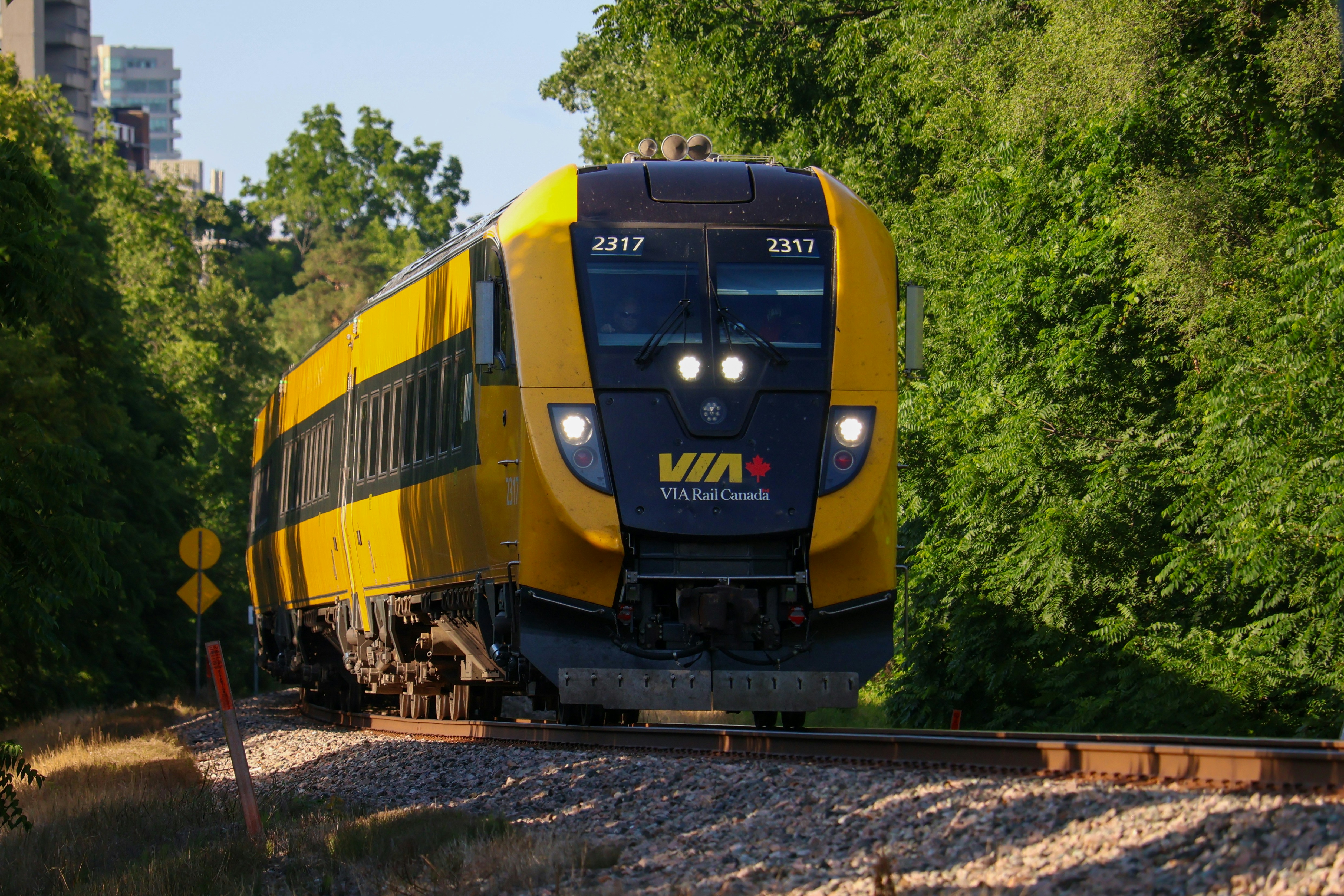 Yellow Intercity: A Railcar Surges Through a Sunlit Forest