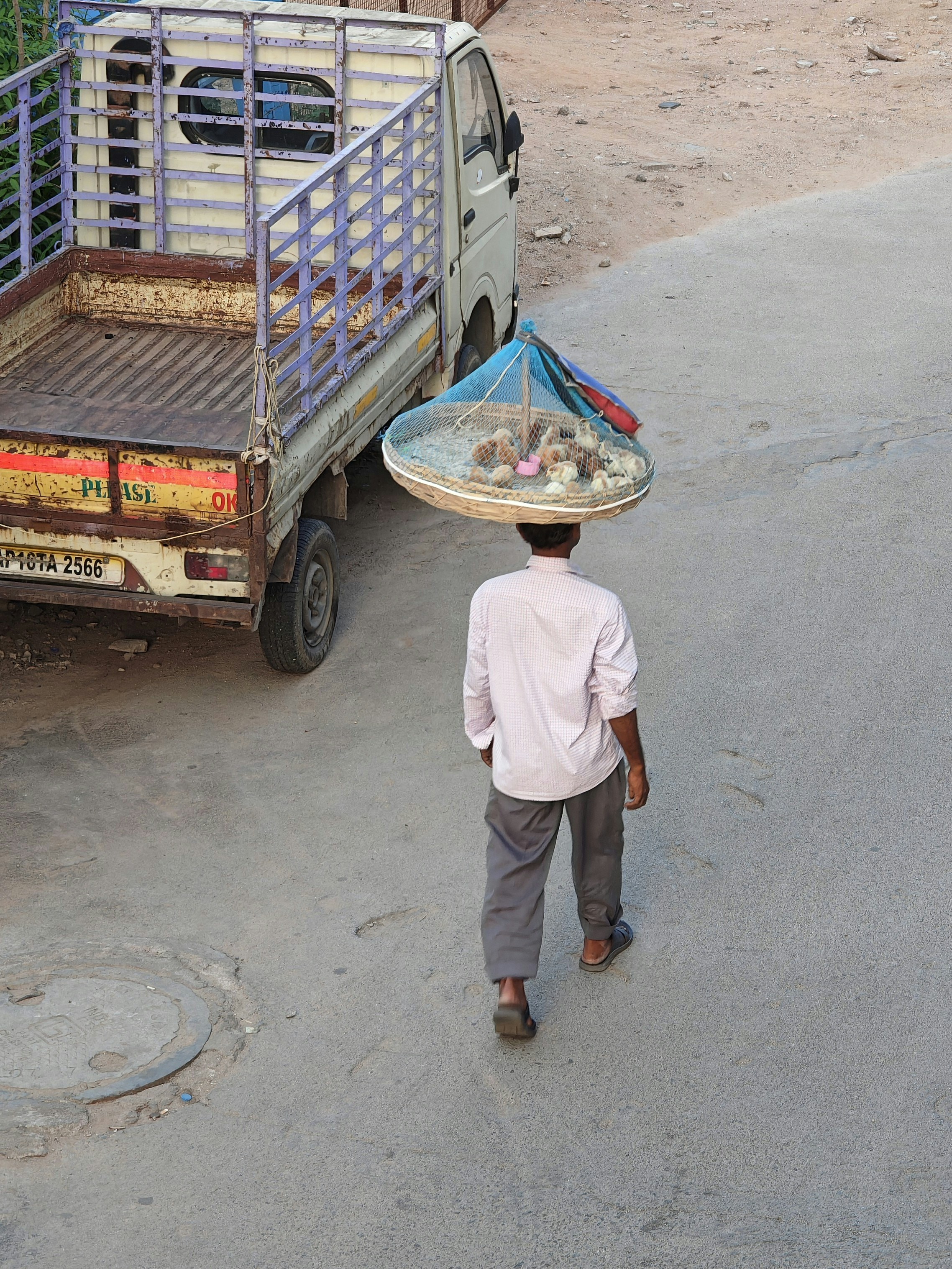 Balancing Act: A Carrier's Path Along the Dusty Road