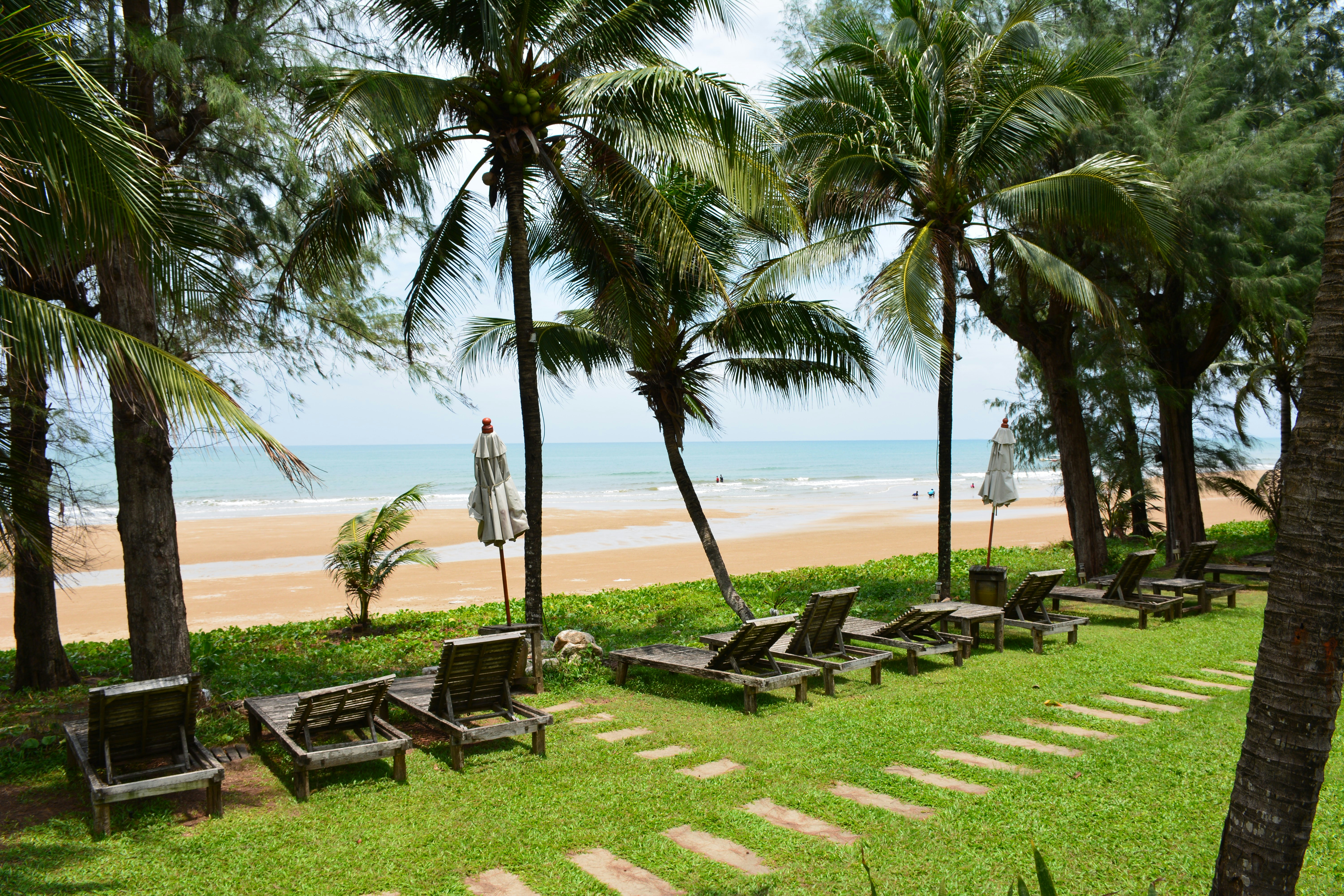 Palm-arched Lawn Leading to a Serene Beach