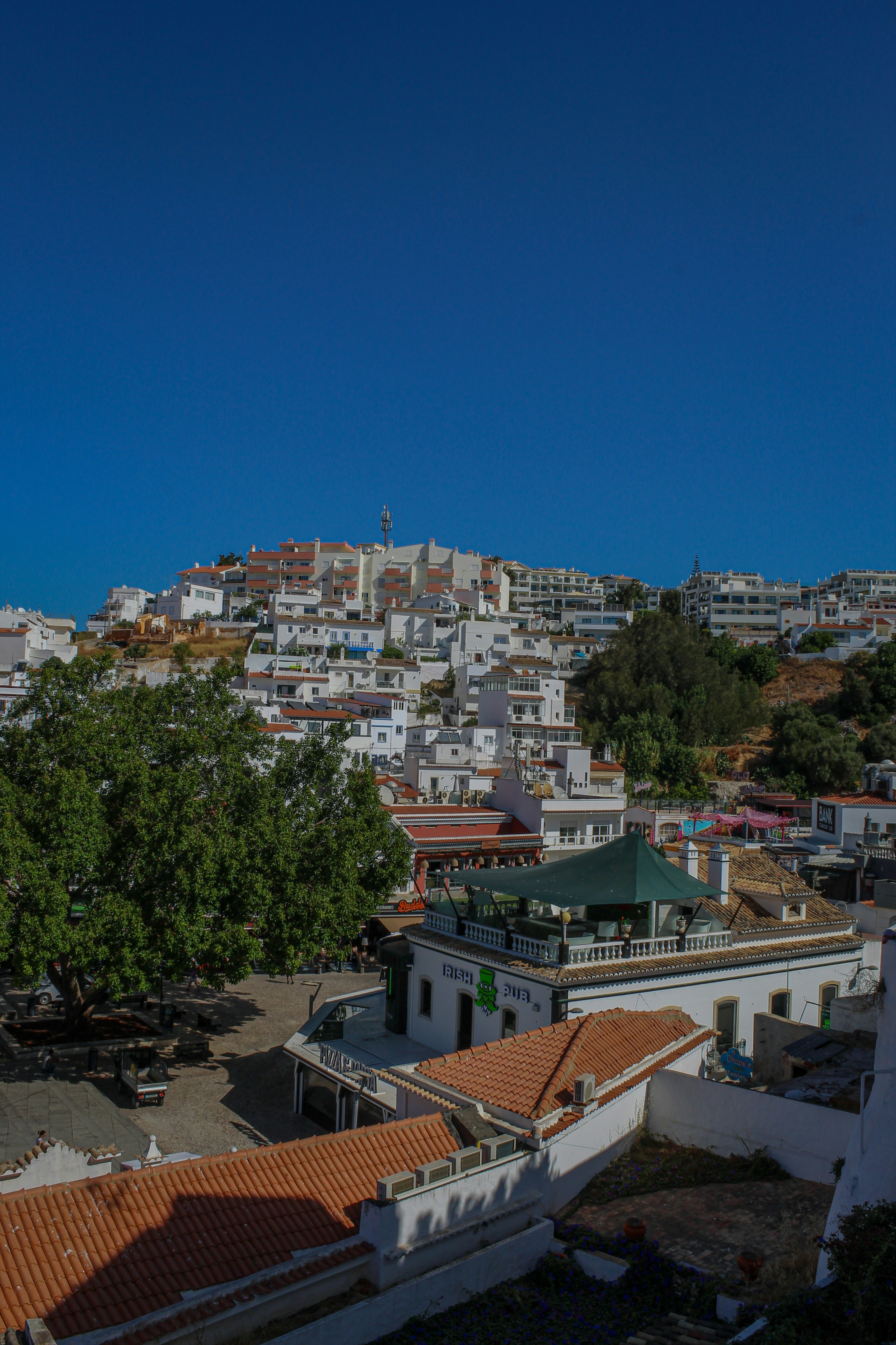 Hilltop Village Panorama with Whitewashed Homes and Green Canopy