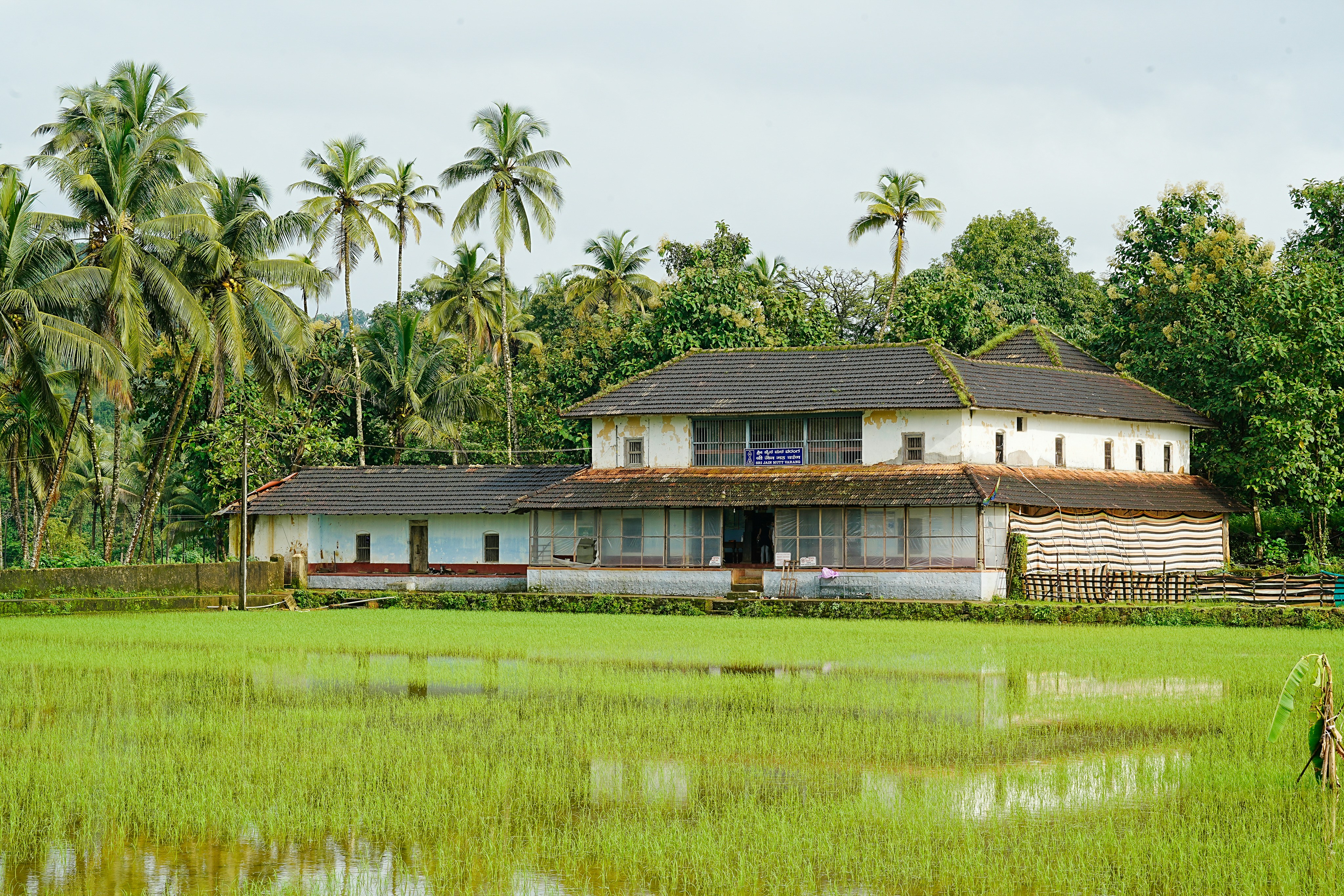 Veranda of a Village House Amid Rice Paddies at Dusk