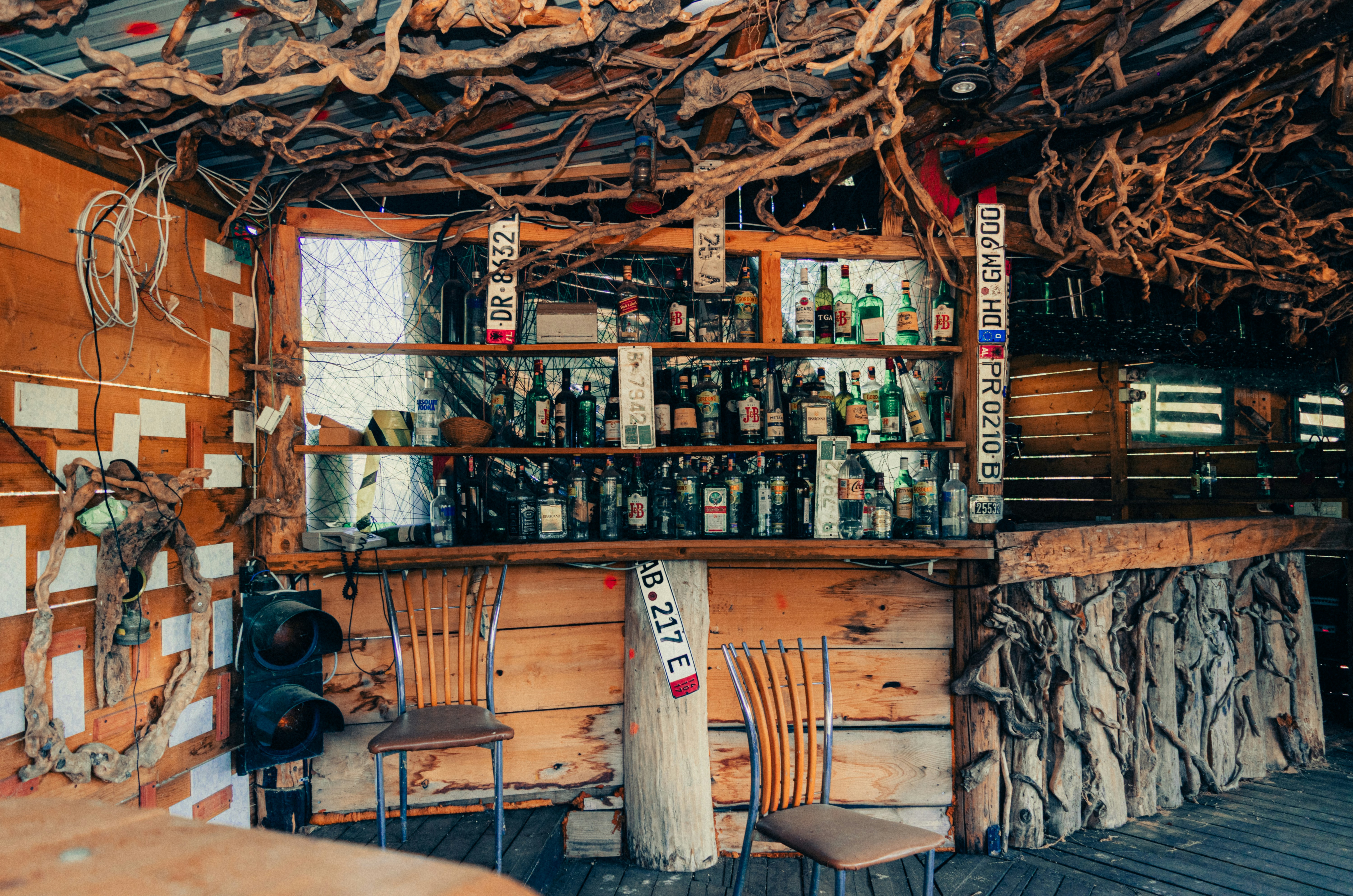 Rustic Bar Haven Under Tangle of Branches