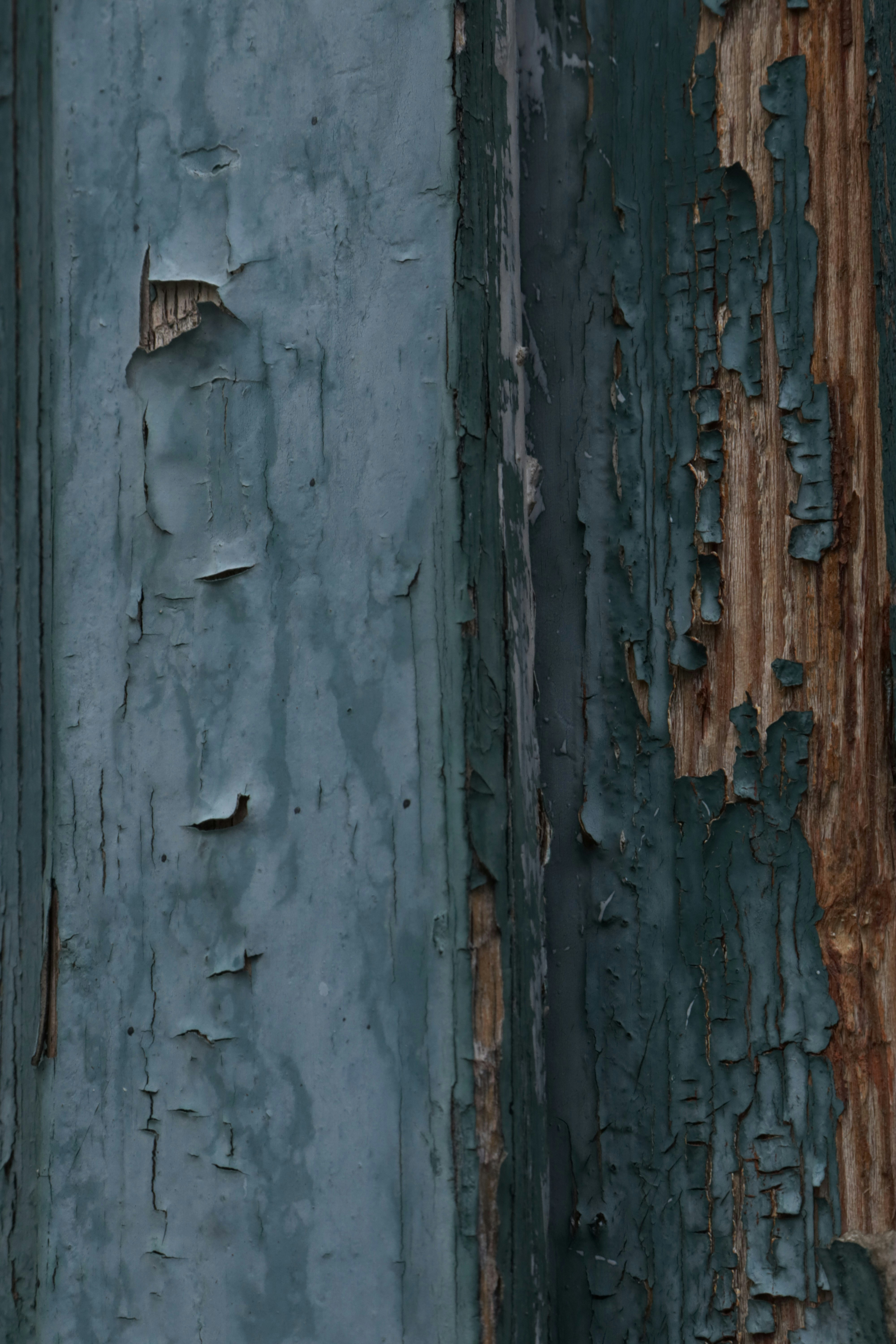 Weathered Doorway: Strata of Blue and Bark in Quiet Light