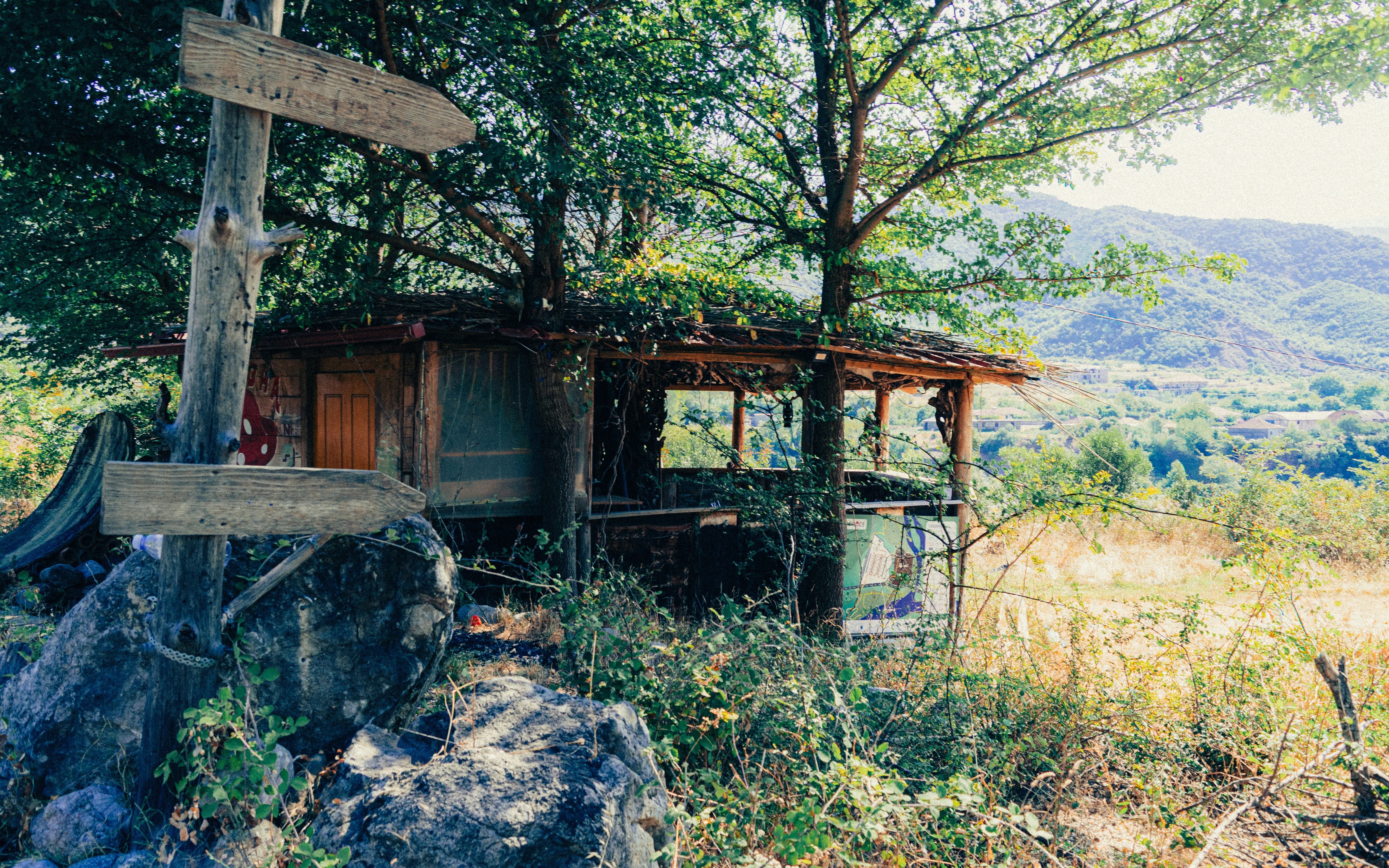Sunlit hillside shack: weathered shelter amid wild grasses