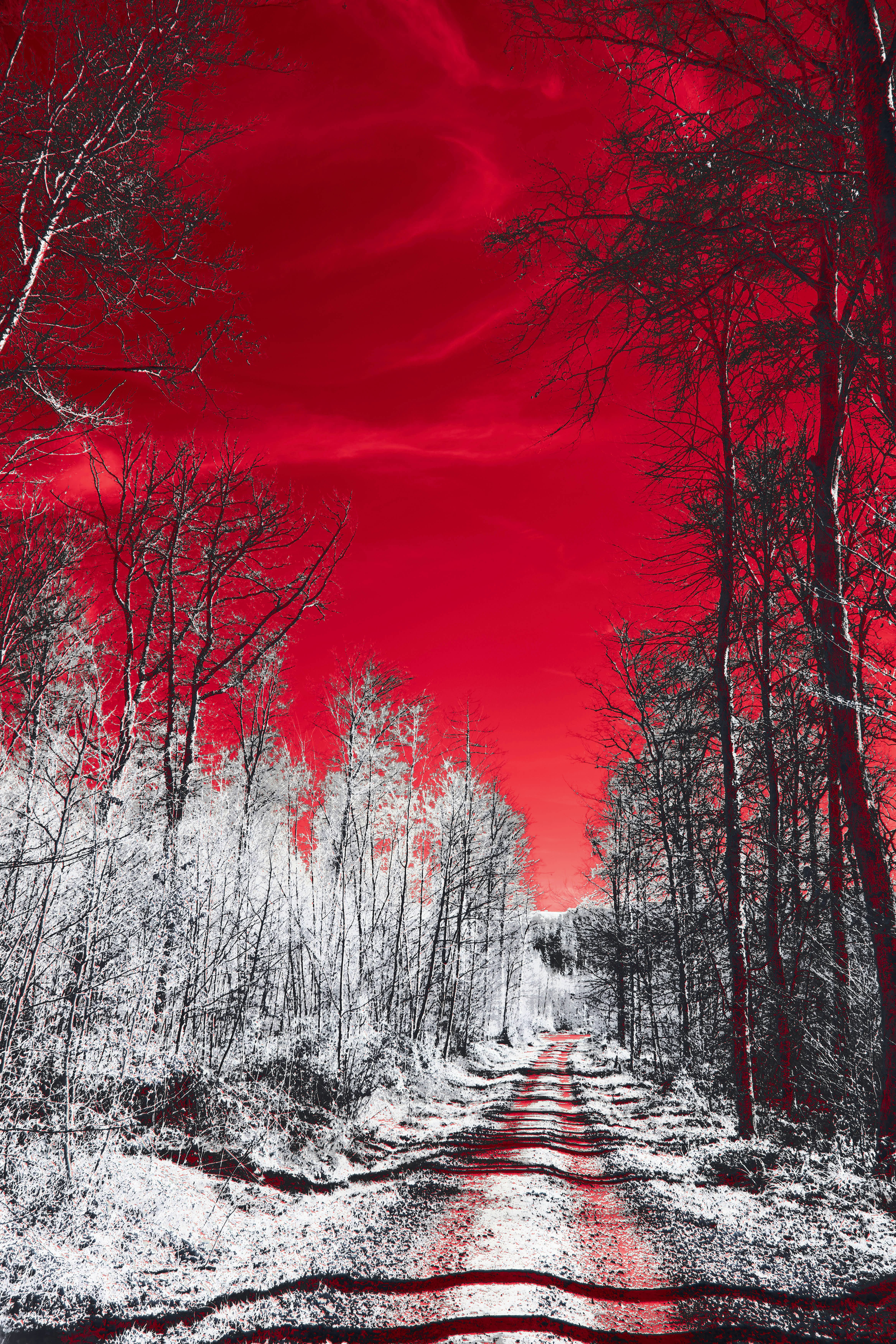 Red Path Through a Nordic Alley