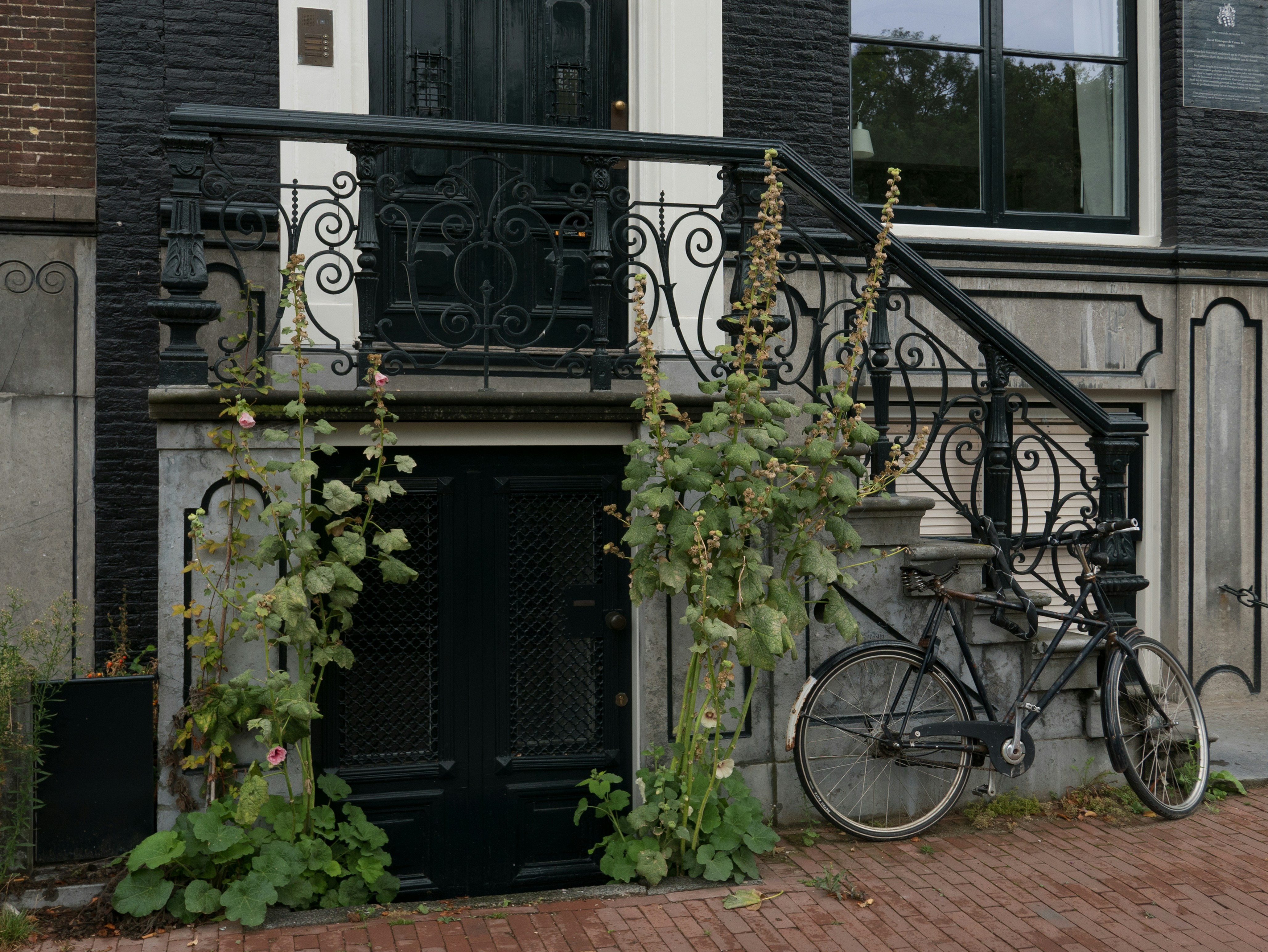 Urban doorway guardian: ivy-clad stoop with a lone bicycle