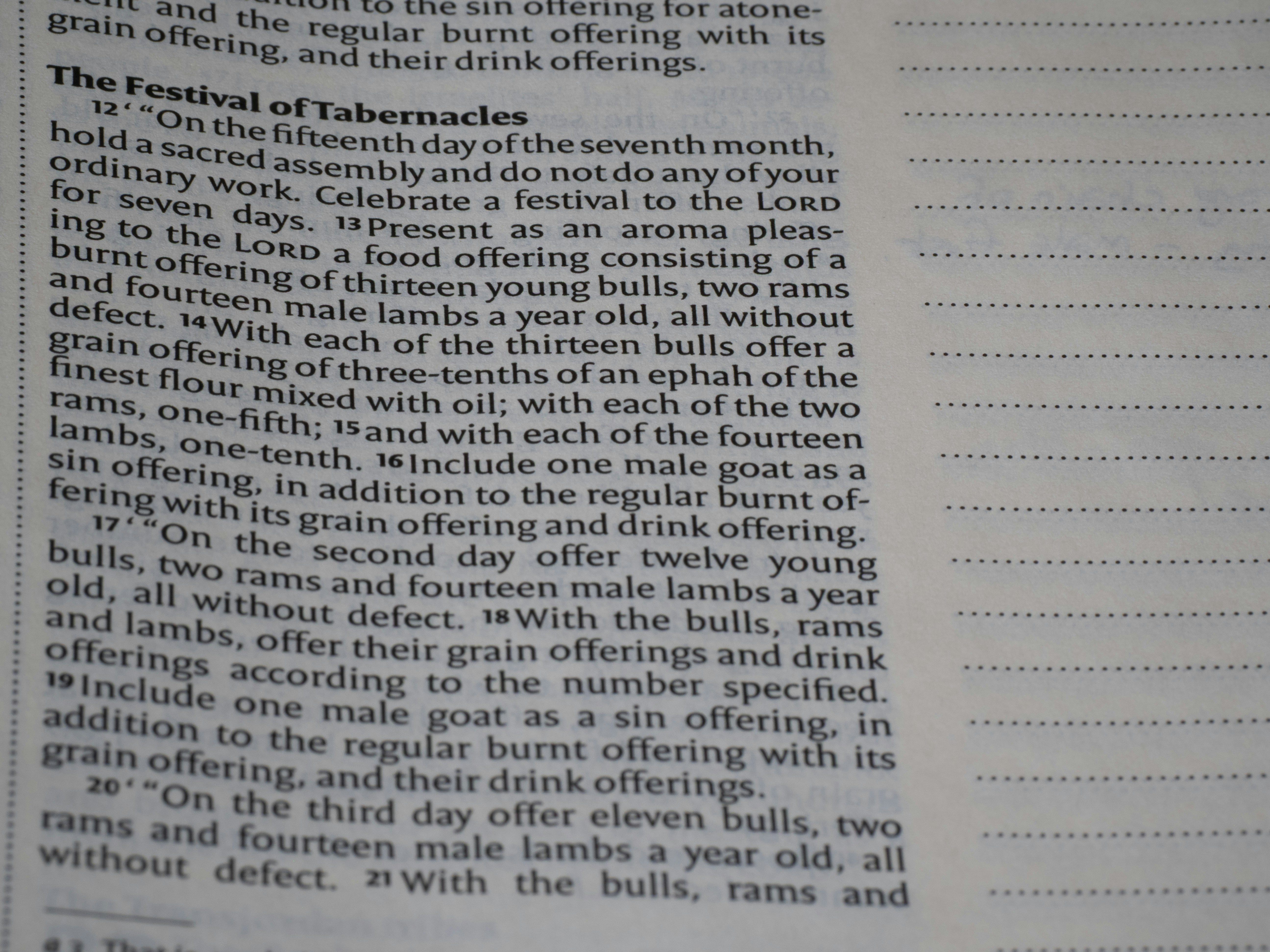 Margins of the Festival: A Close Reading of Text in a Book-Across Page