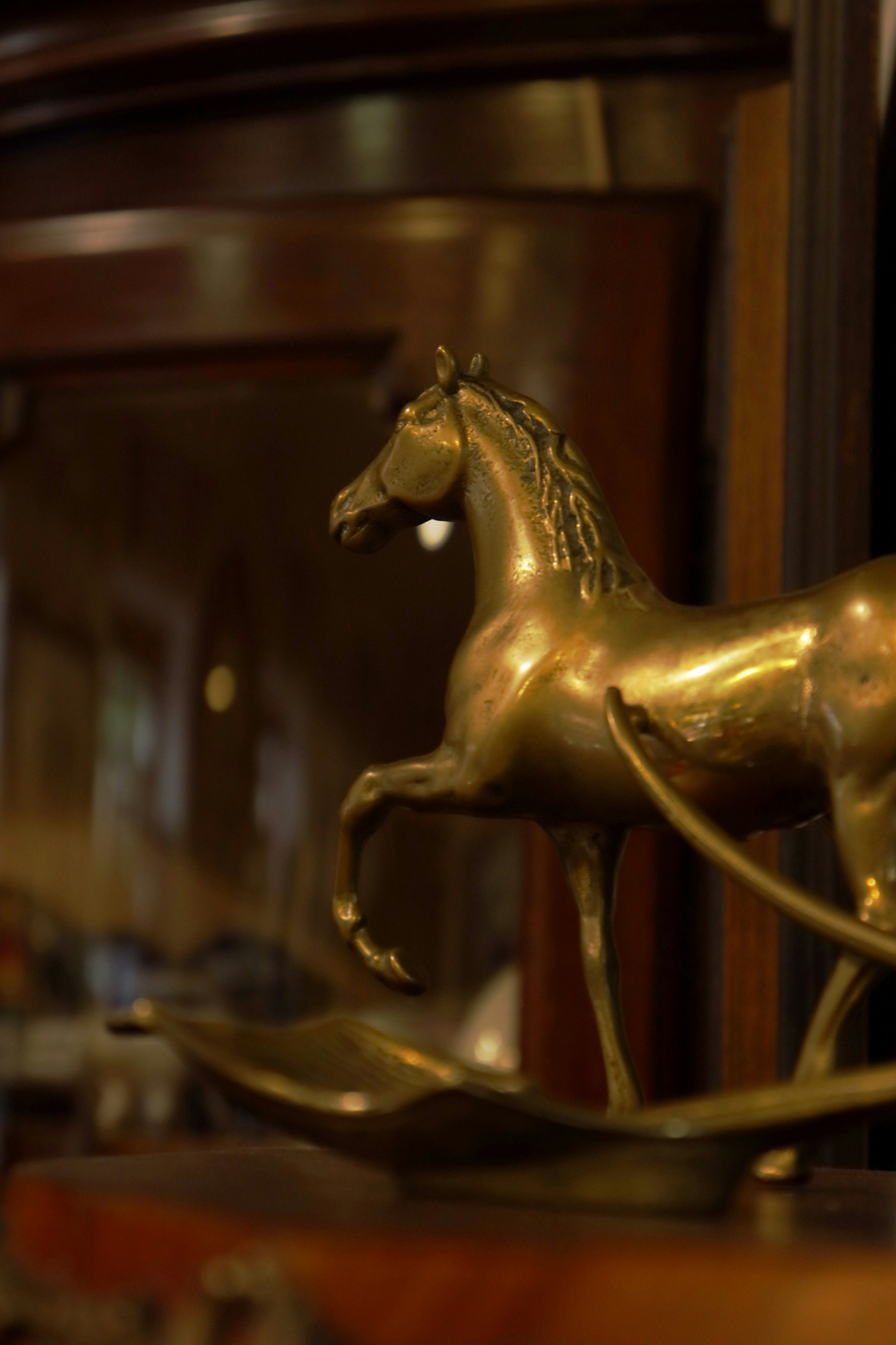 Bronze Carousel Spirit: A Prized Horse in Soft Cabinet Light