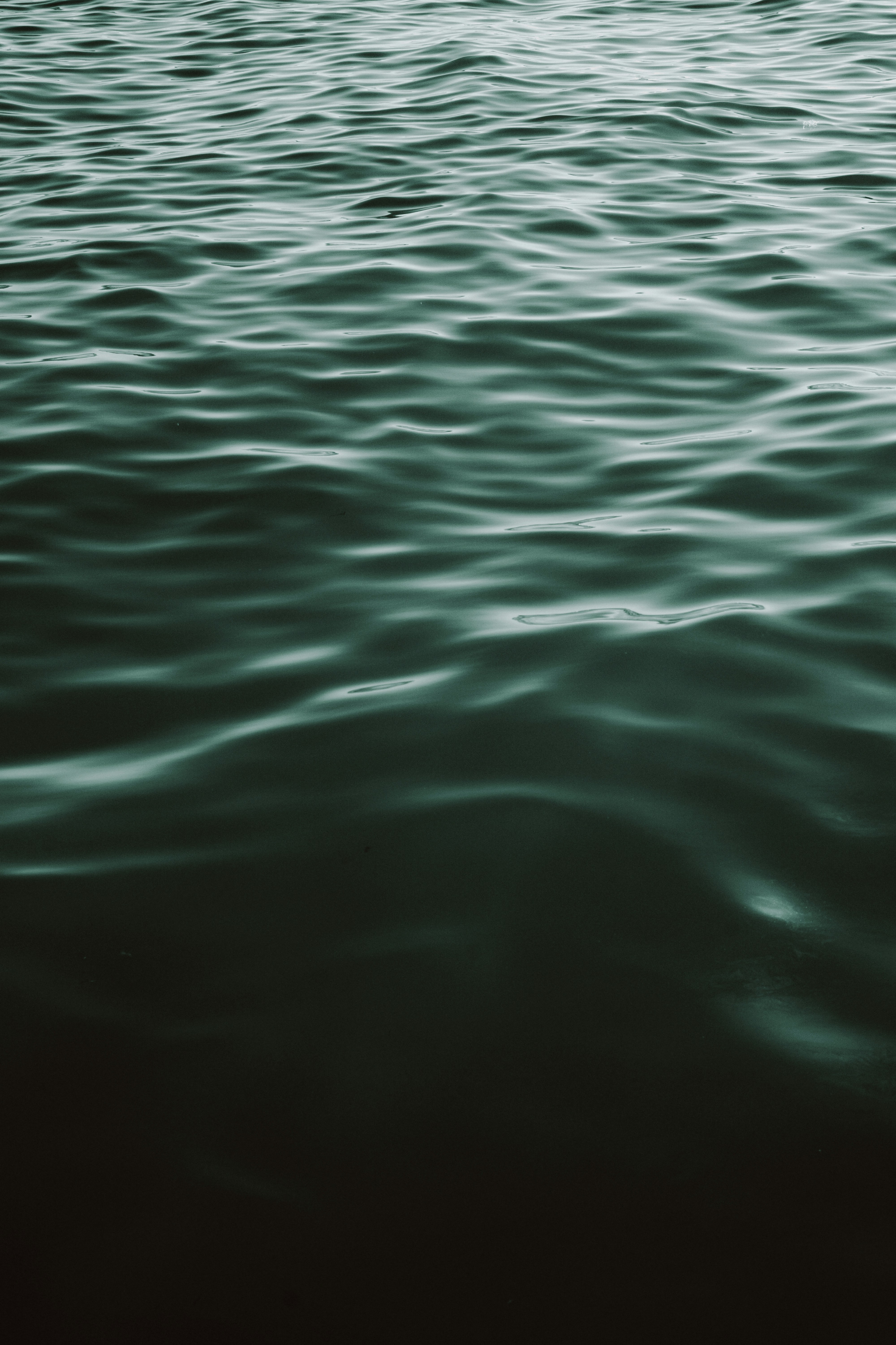 Prismatic Quiet: Waves in Tepid Light