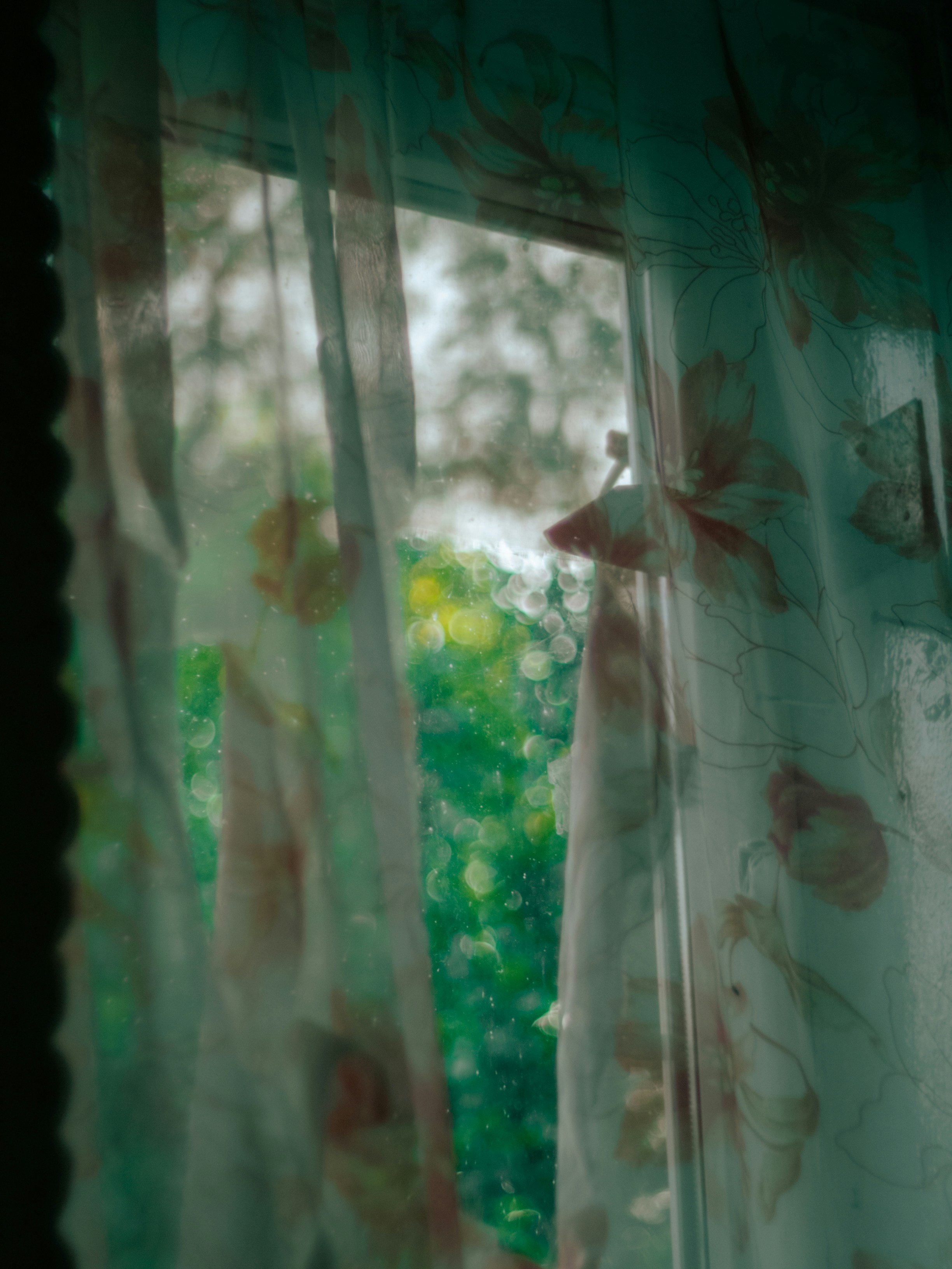 Soft-focus window with sheer floral curtains letting misty daylight filter through, revealing a green garden beyond the glass.