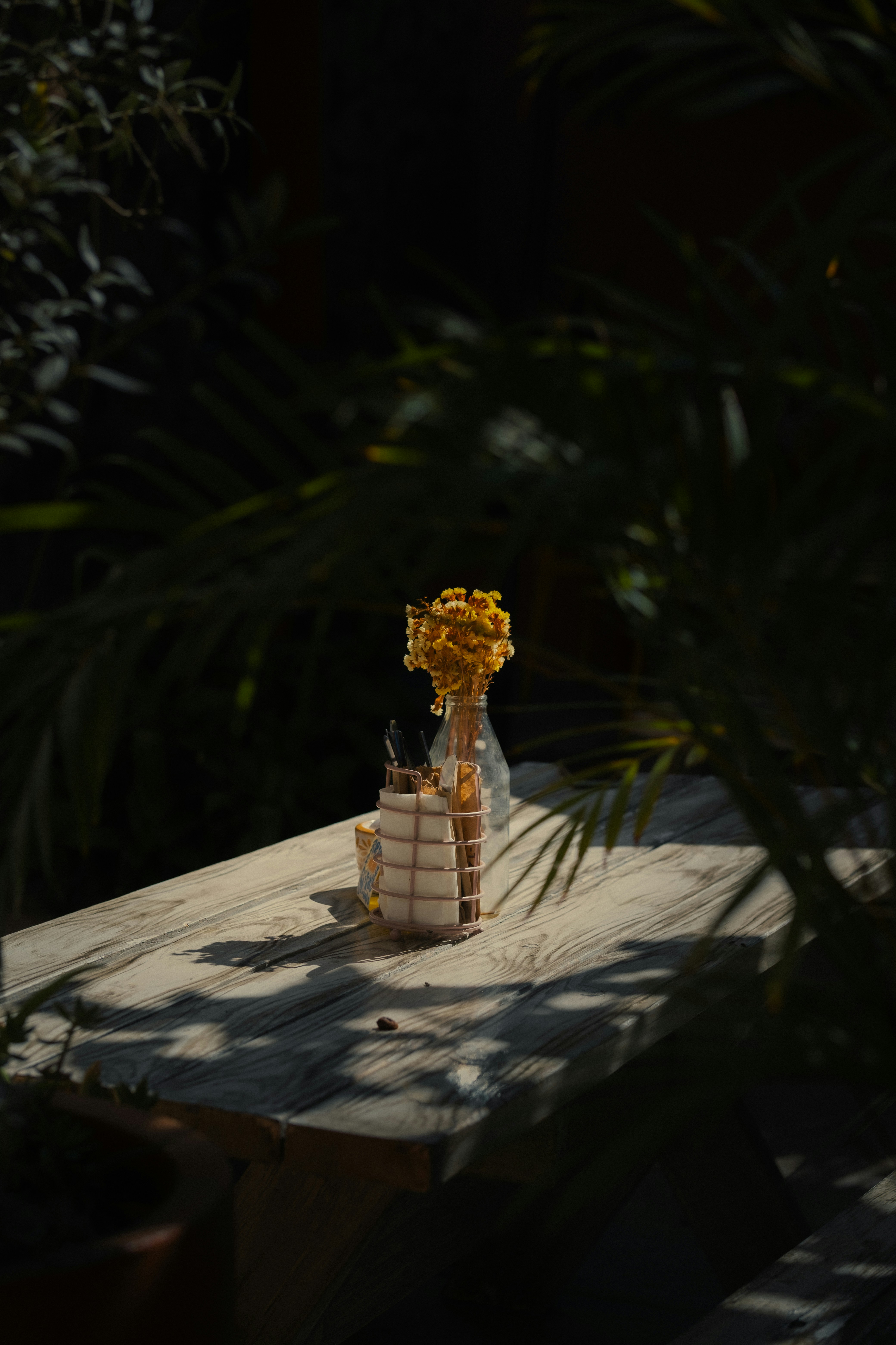Sunlit Still Life: A Quiet Morning on the Garden Table