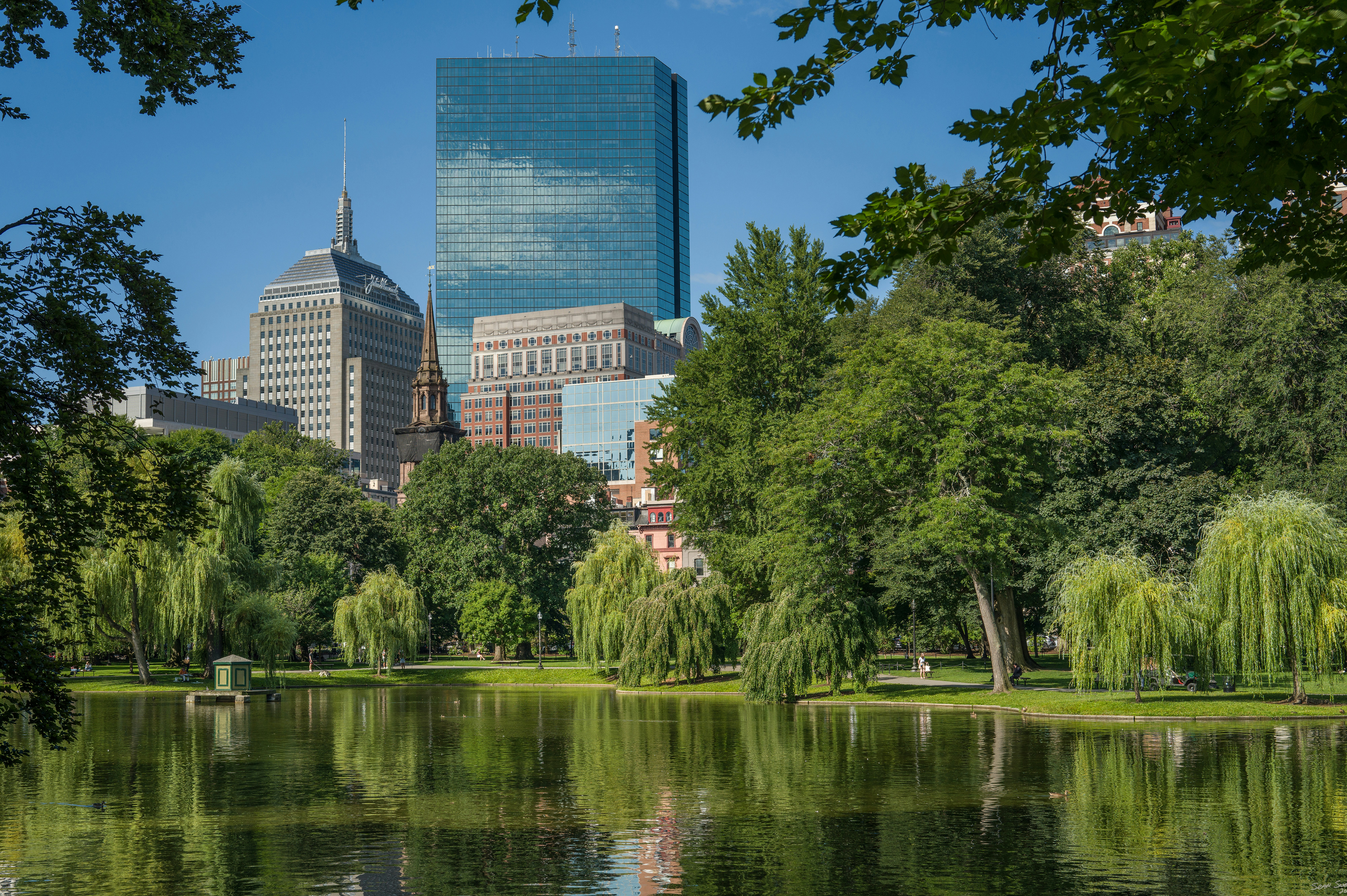 City Park Reflections: Skyline Behind the Lime DrapesSean Sweeney