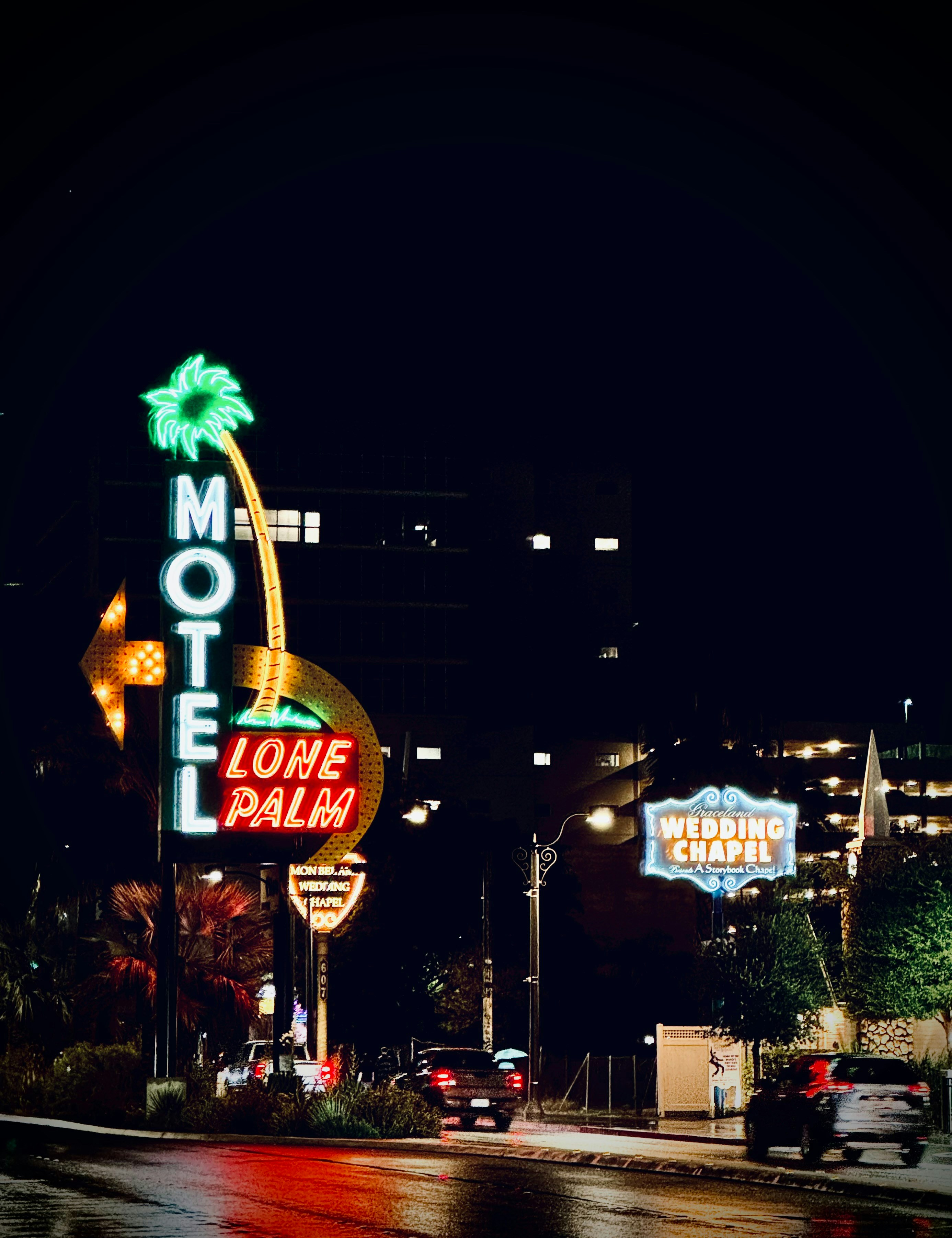 Neon Palm Motel Sign Under Night Skies