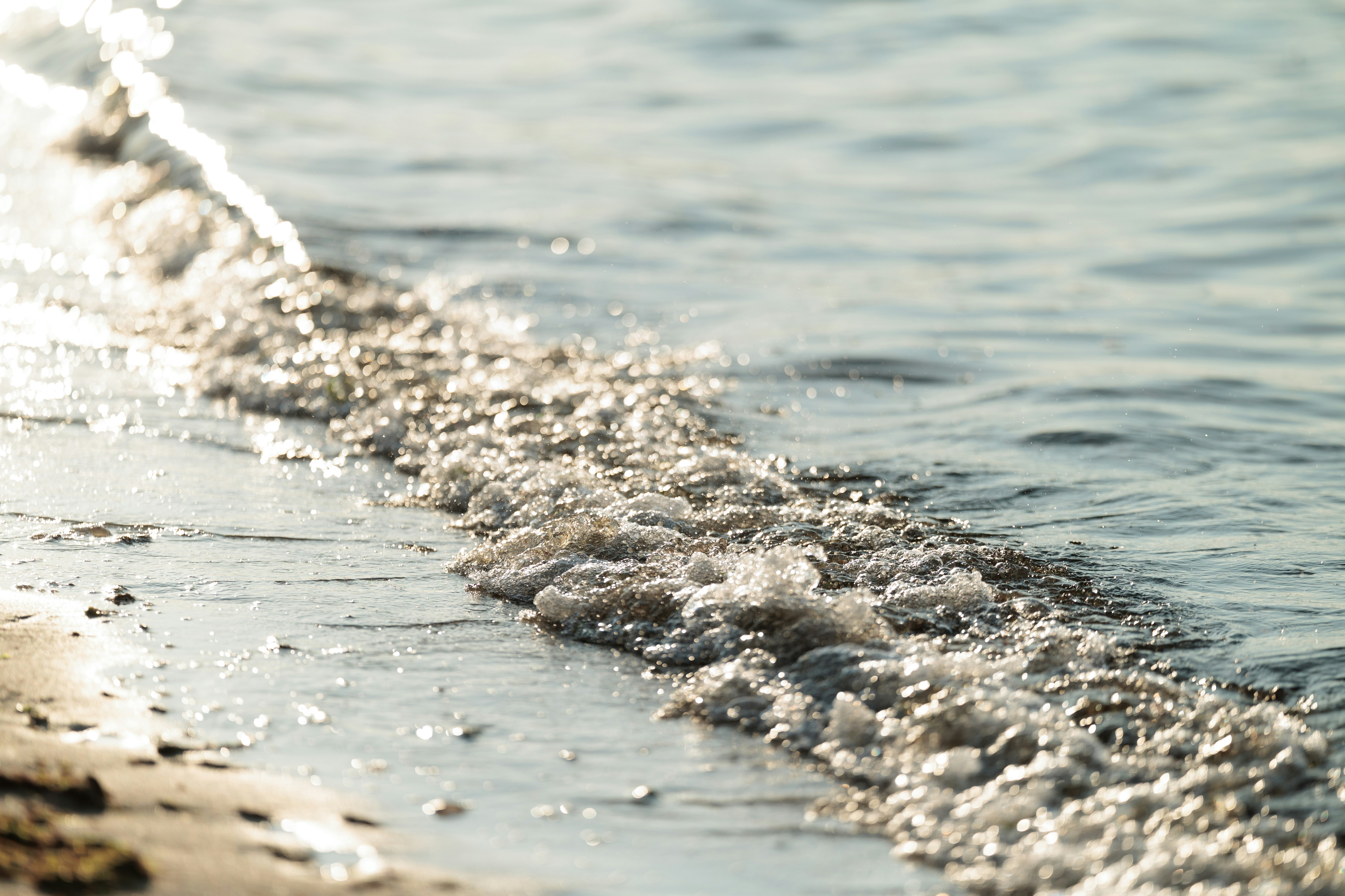 Foam on the Shore: Sunlit Ripples in Quiet Sea