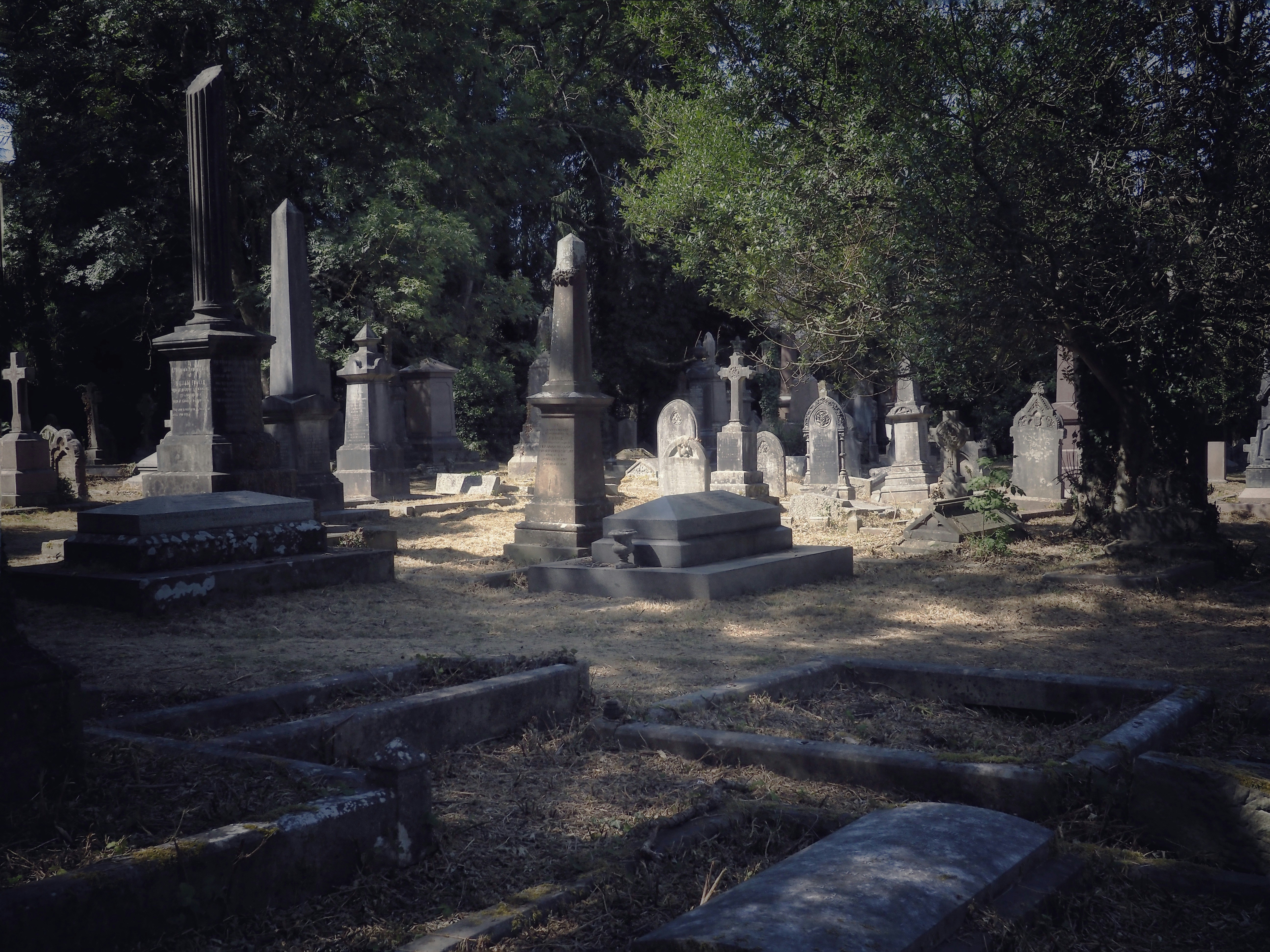 Whispers Among the Stones: Quiet Cemetery Ridge