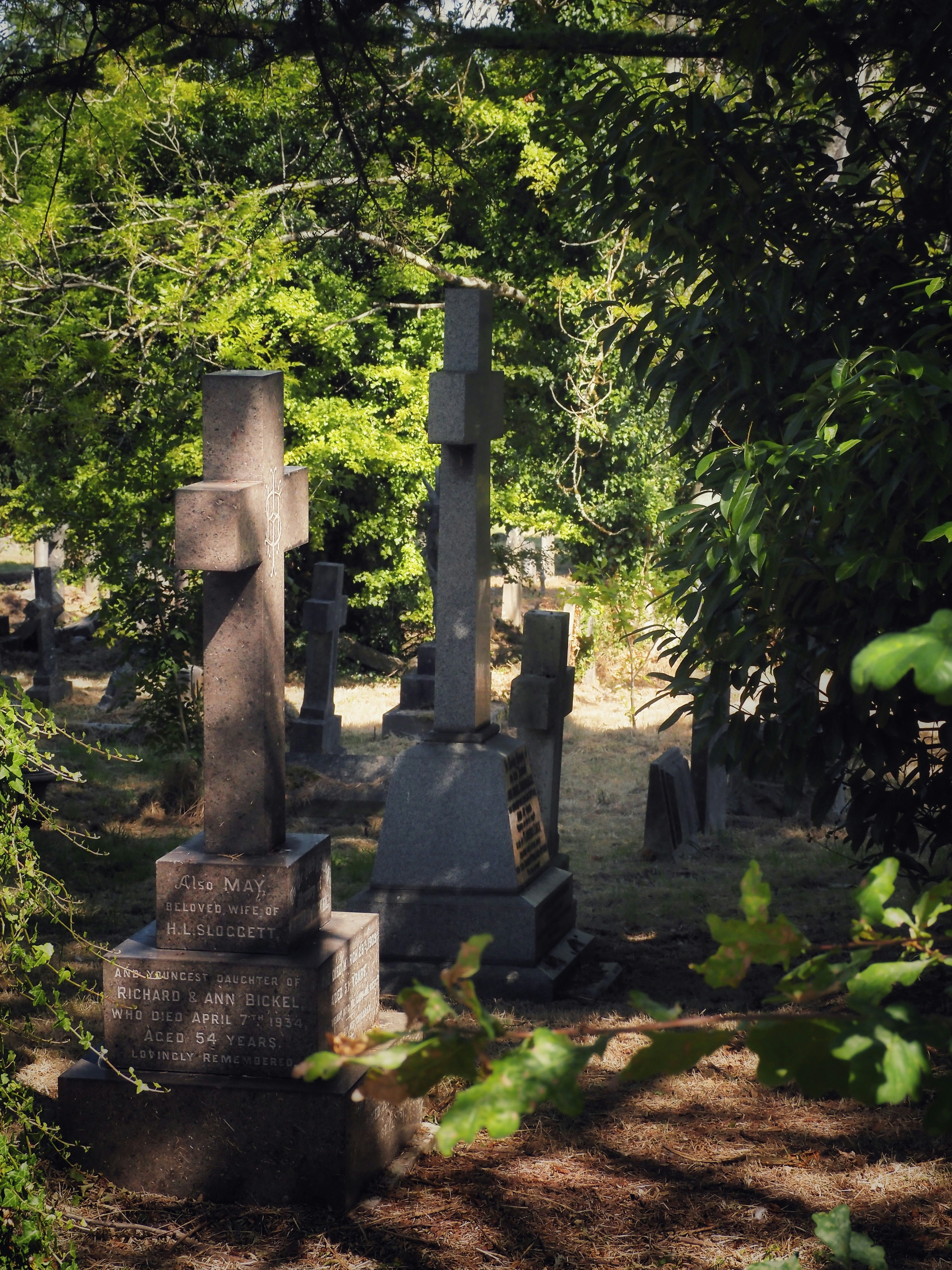 Overgrown Stones: Quiet Cemetery Glow