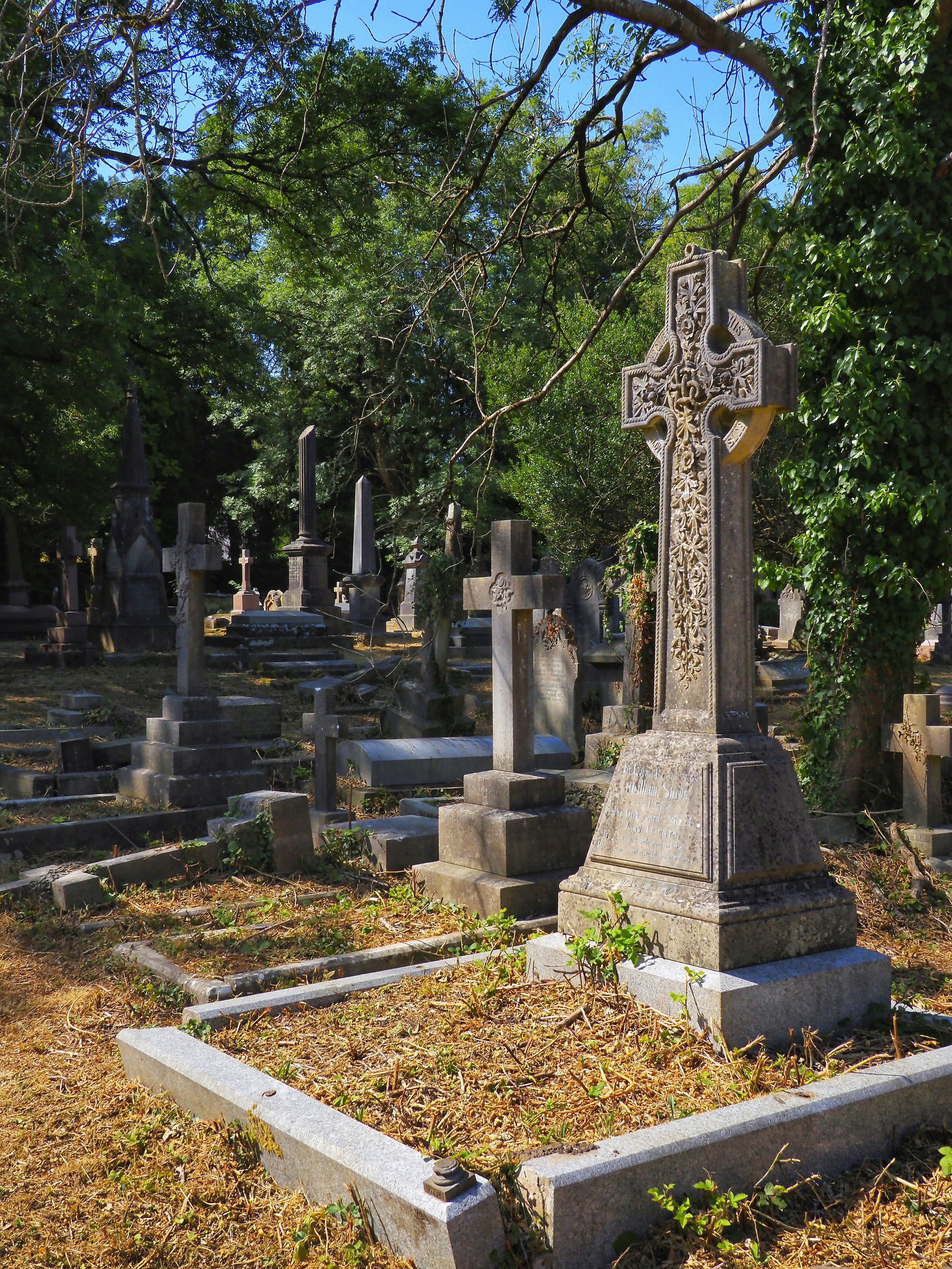 Stone Crosses in Shade: A Quiet Sabbath of Weathered Tombs