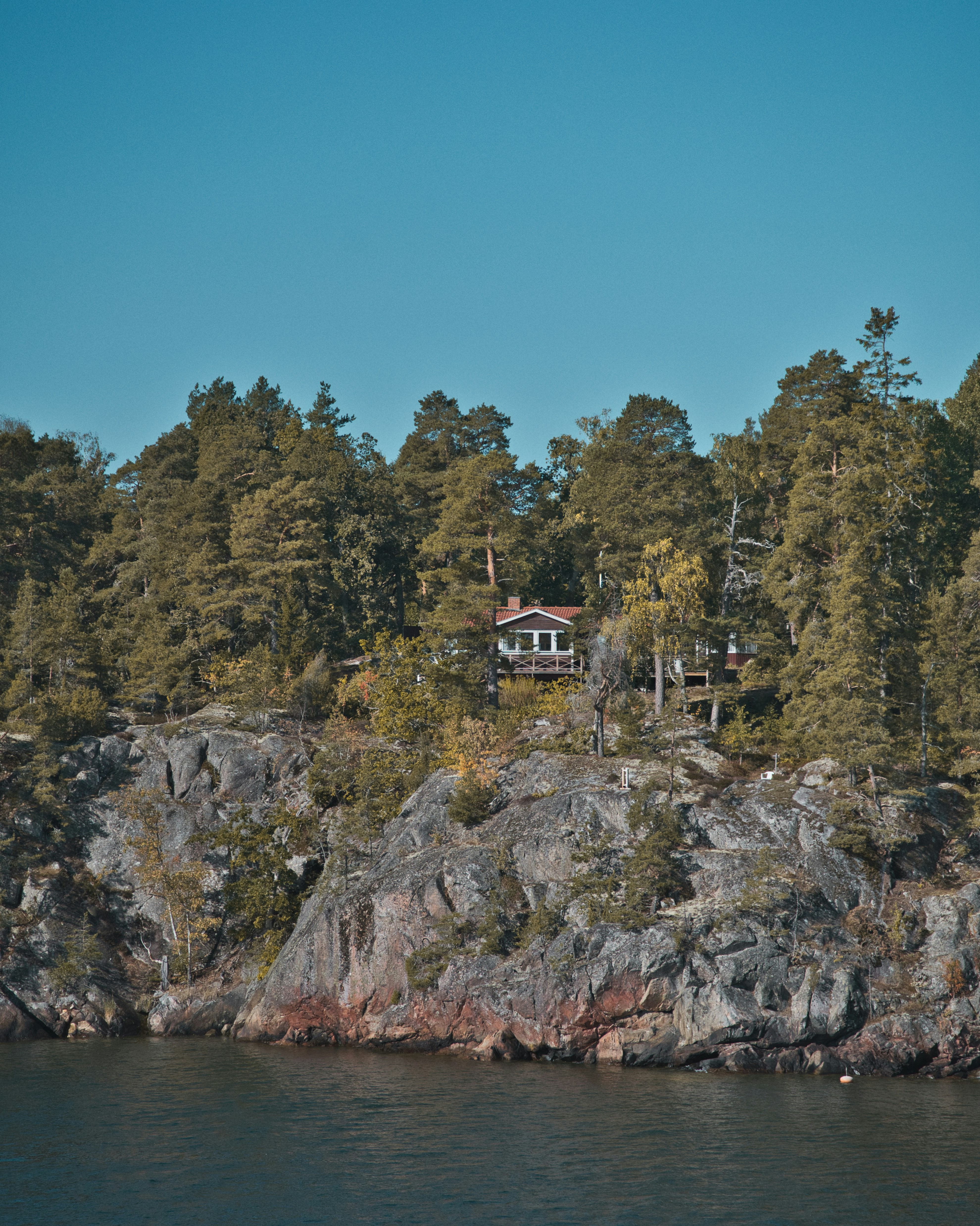 House on the Cliff: A Cedar-Needled Vista Over Lake Rocks
