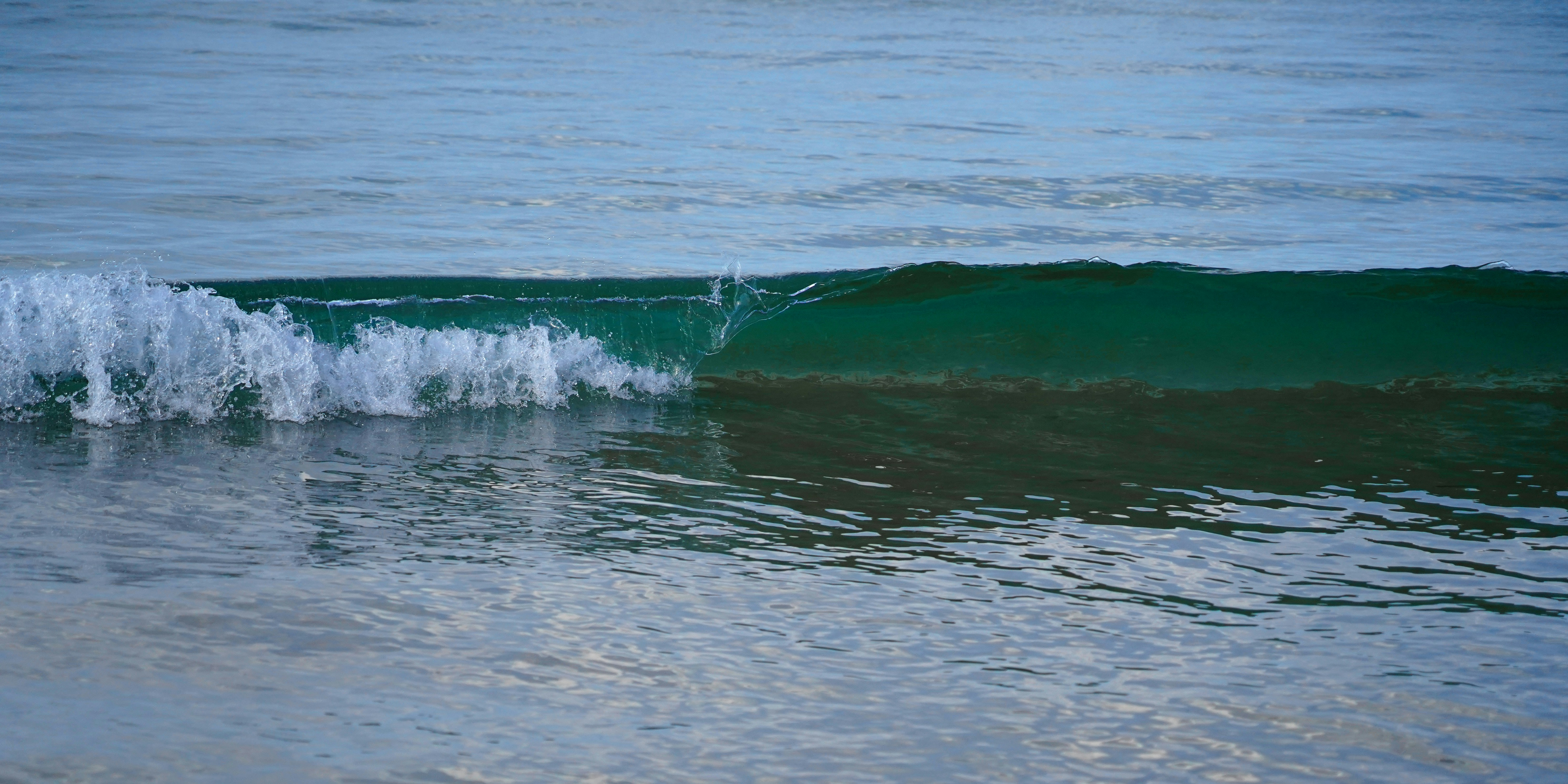 Green Crest at Sea: A Quiet Break in the Wave