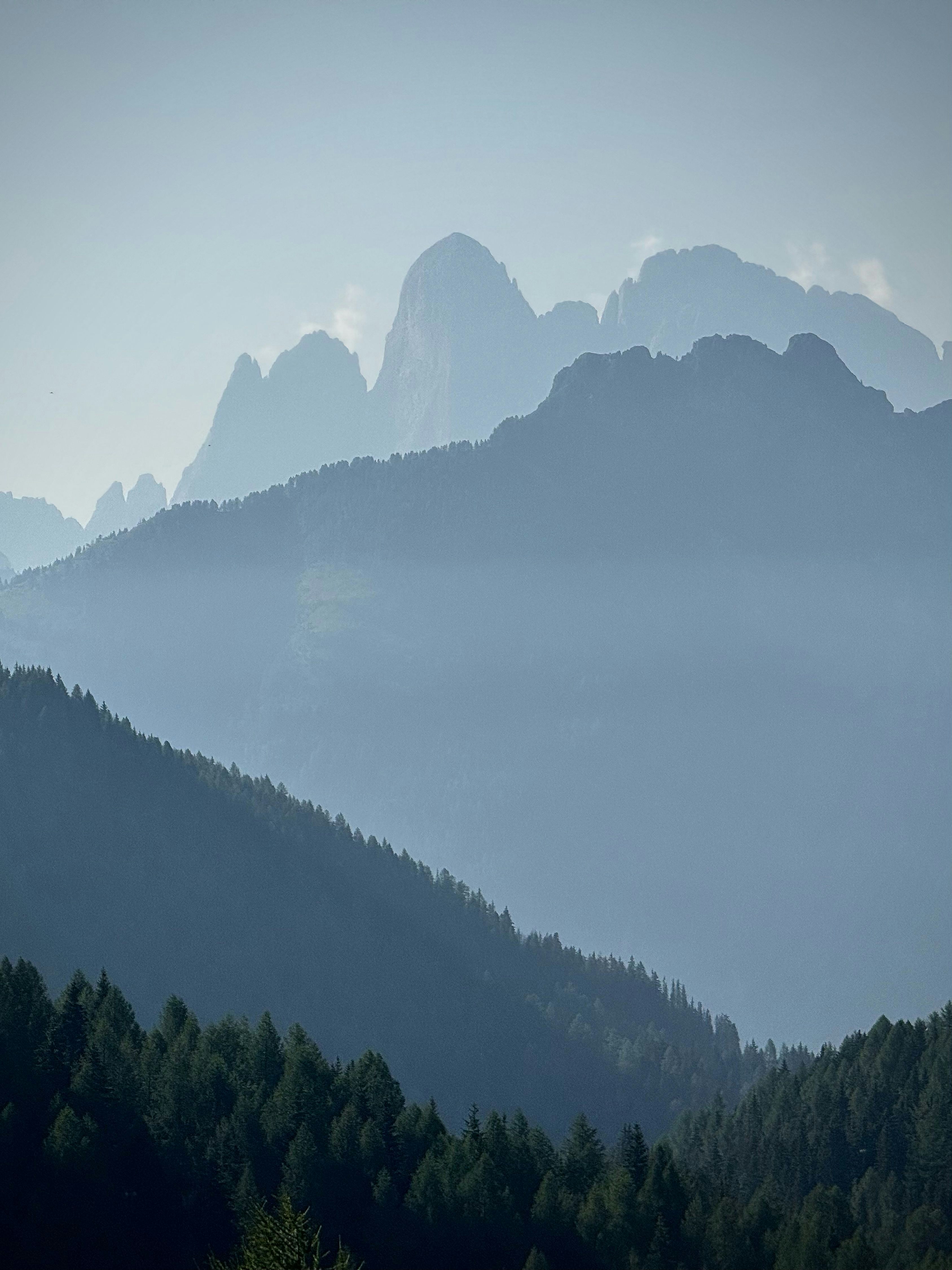 Layers of Mist Over a Conifer Ridge