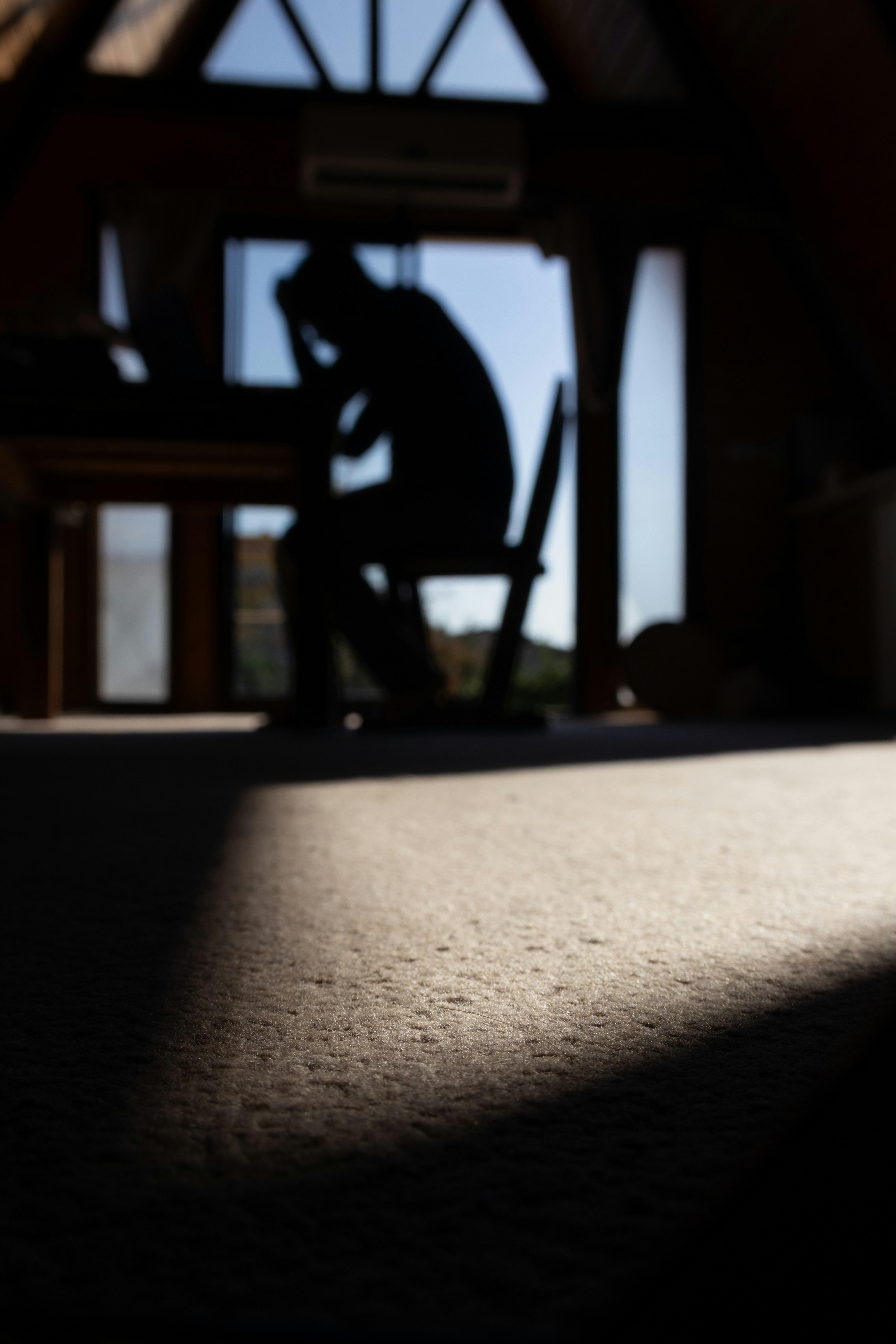 Silhouette at the Desk: A Quiet Moment of Focus in Sharp Shadow