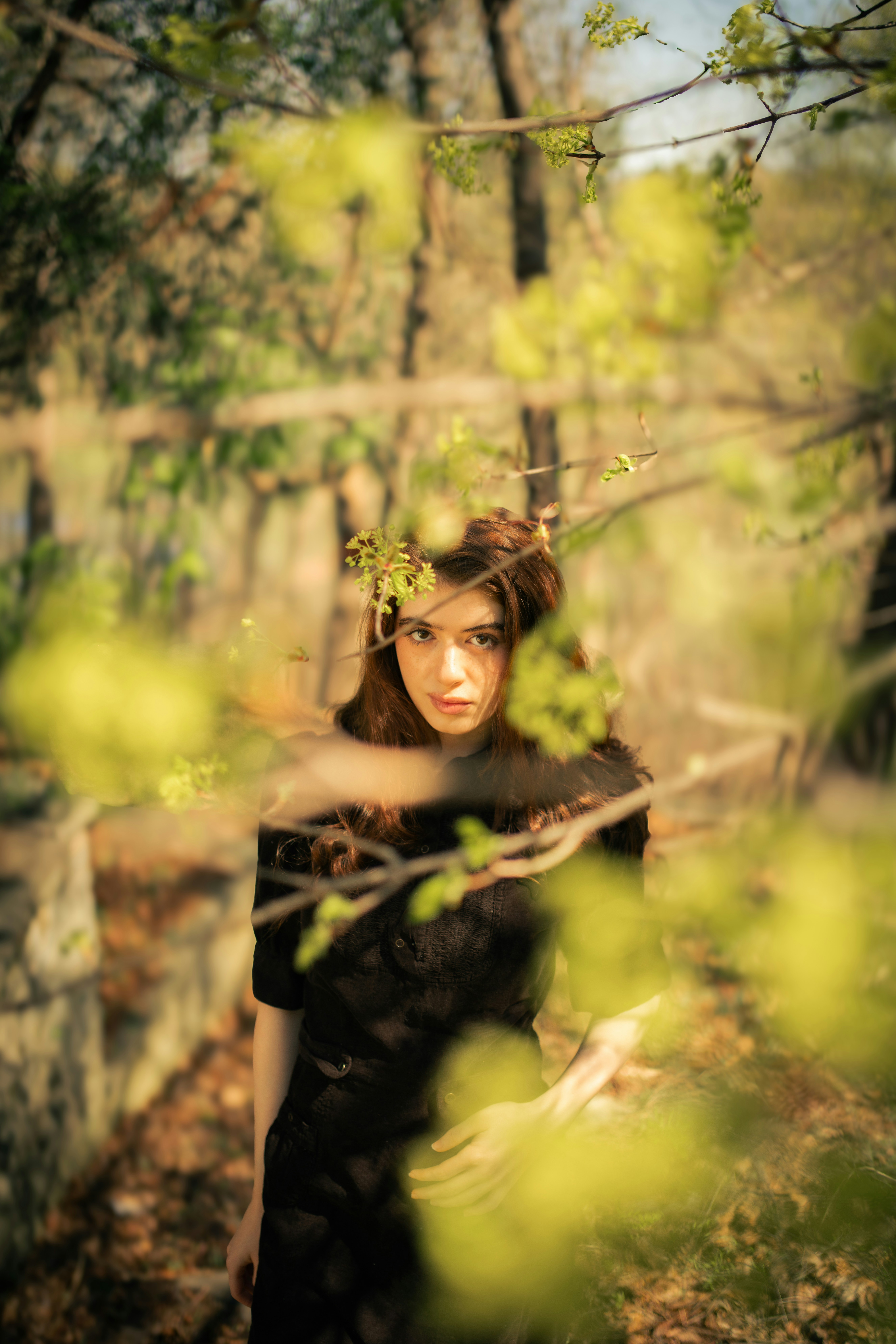 Through the Frame of Leaves: A Portrait in Autumnal Quiet
