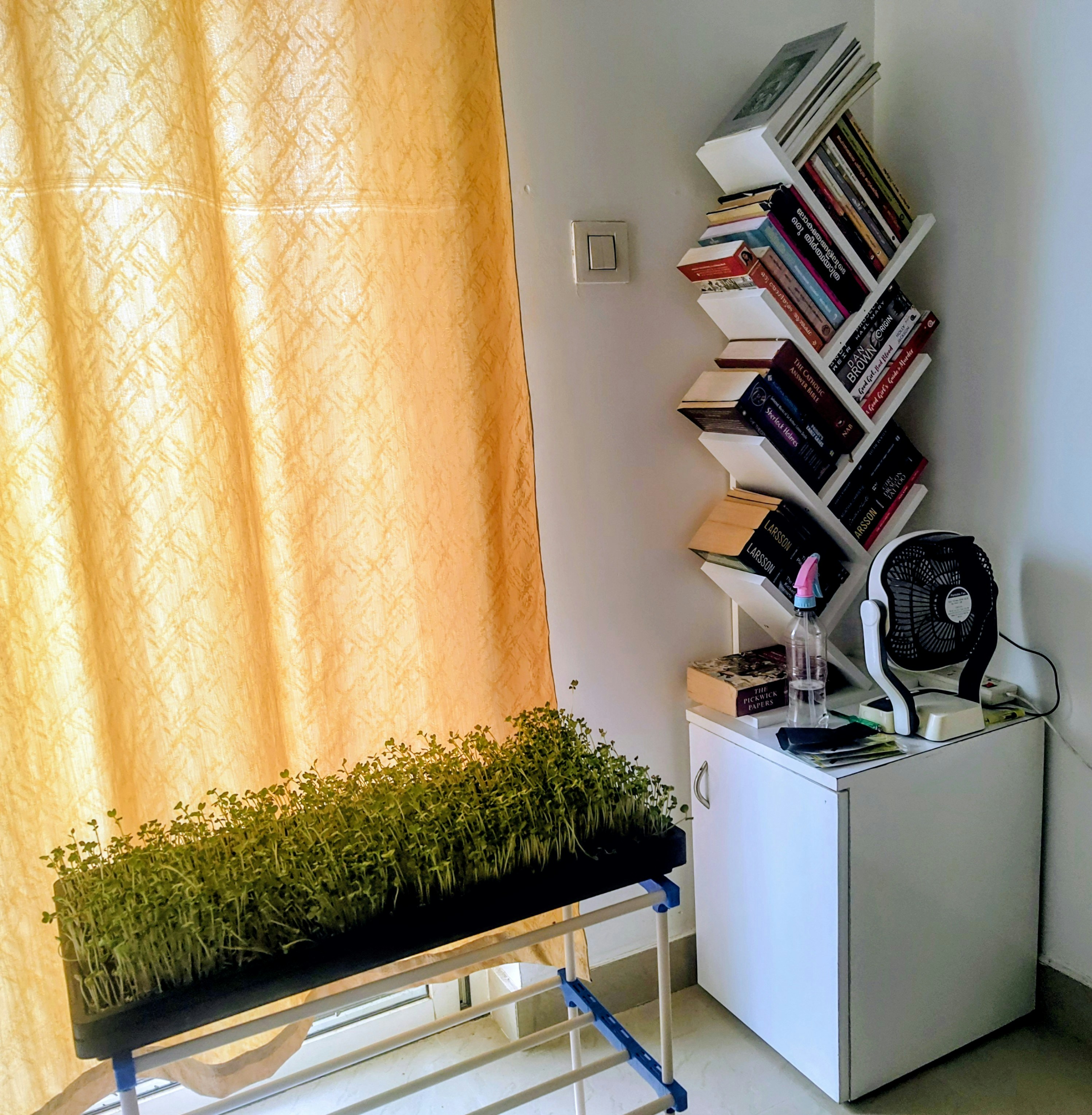 Verdant seedlings on a bench beneath a sunlit curtain, with a tilted bookstack and a small desk fan