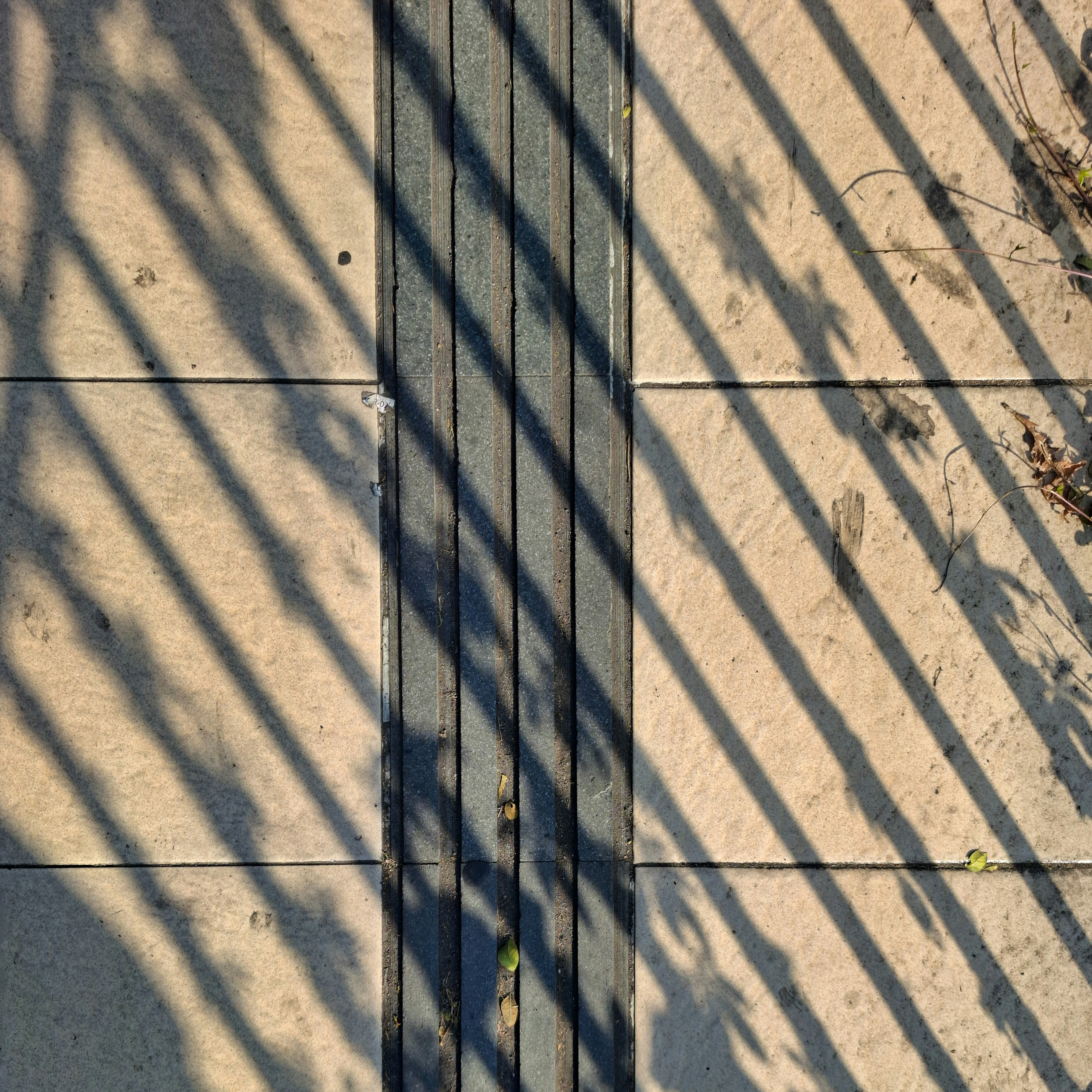 Shadowed Slats: Concrete Grid and Repeating Lines